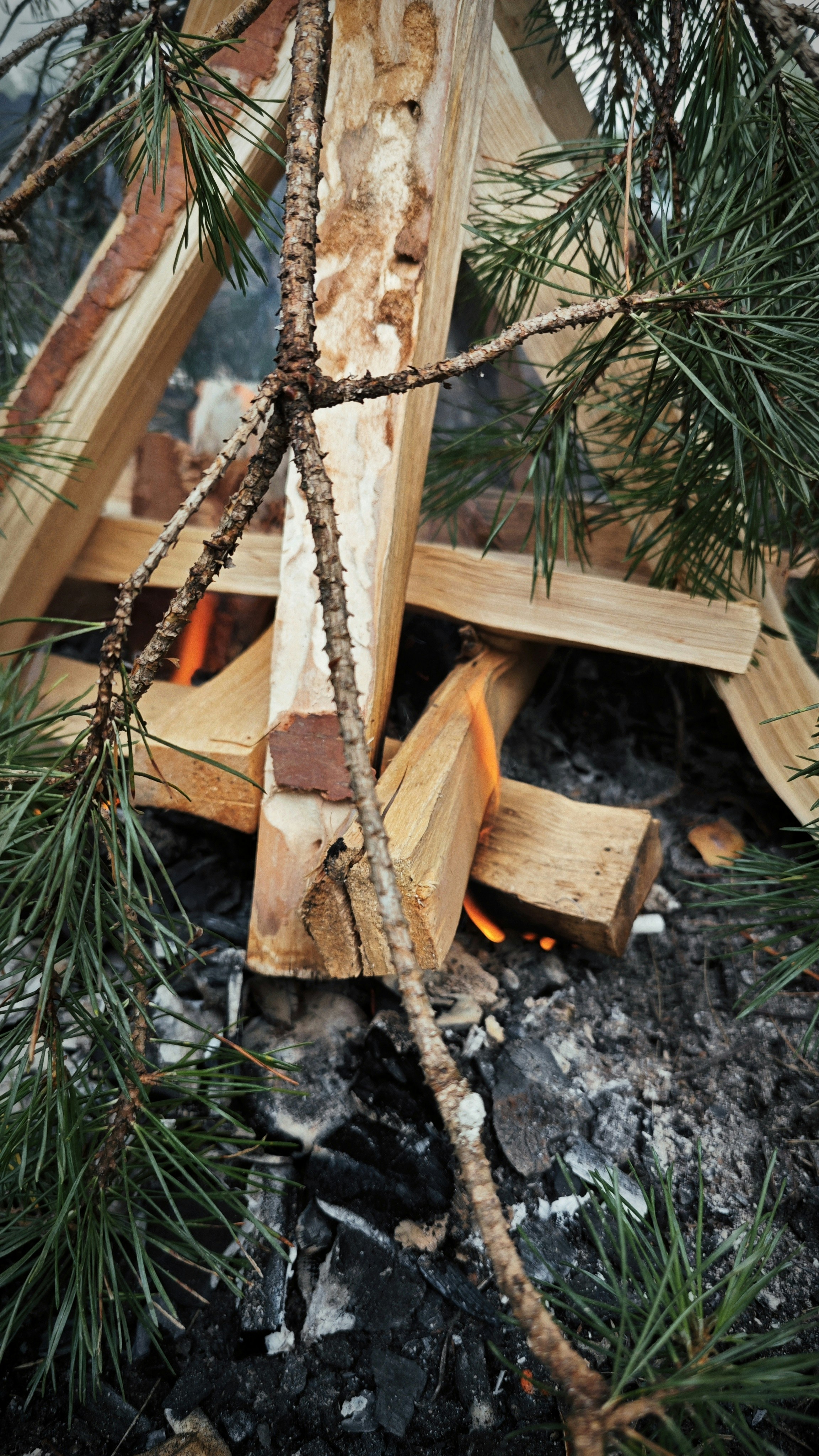 Close-up photograph of chopped firewood stacked among pine branches with a subtle ember glow. The scene emphasizes texture, warmth, and rustic outdoor mood.