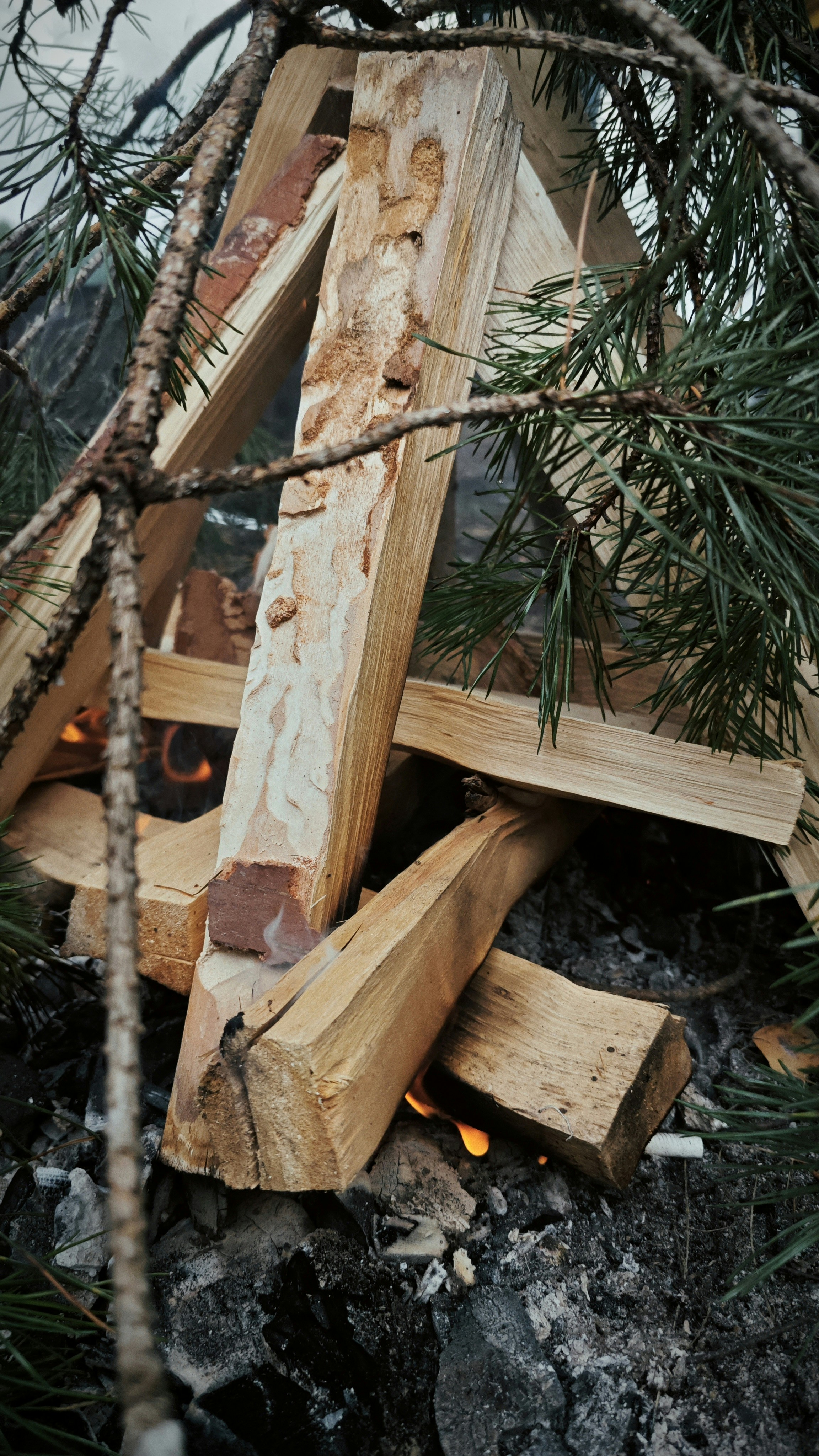 Close-up photograph of rough-cut timber stacked near a small campfire, framed by pine branches. The shot highlights texture and natural color in low light.
