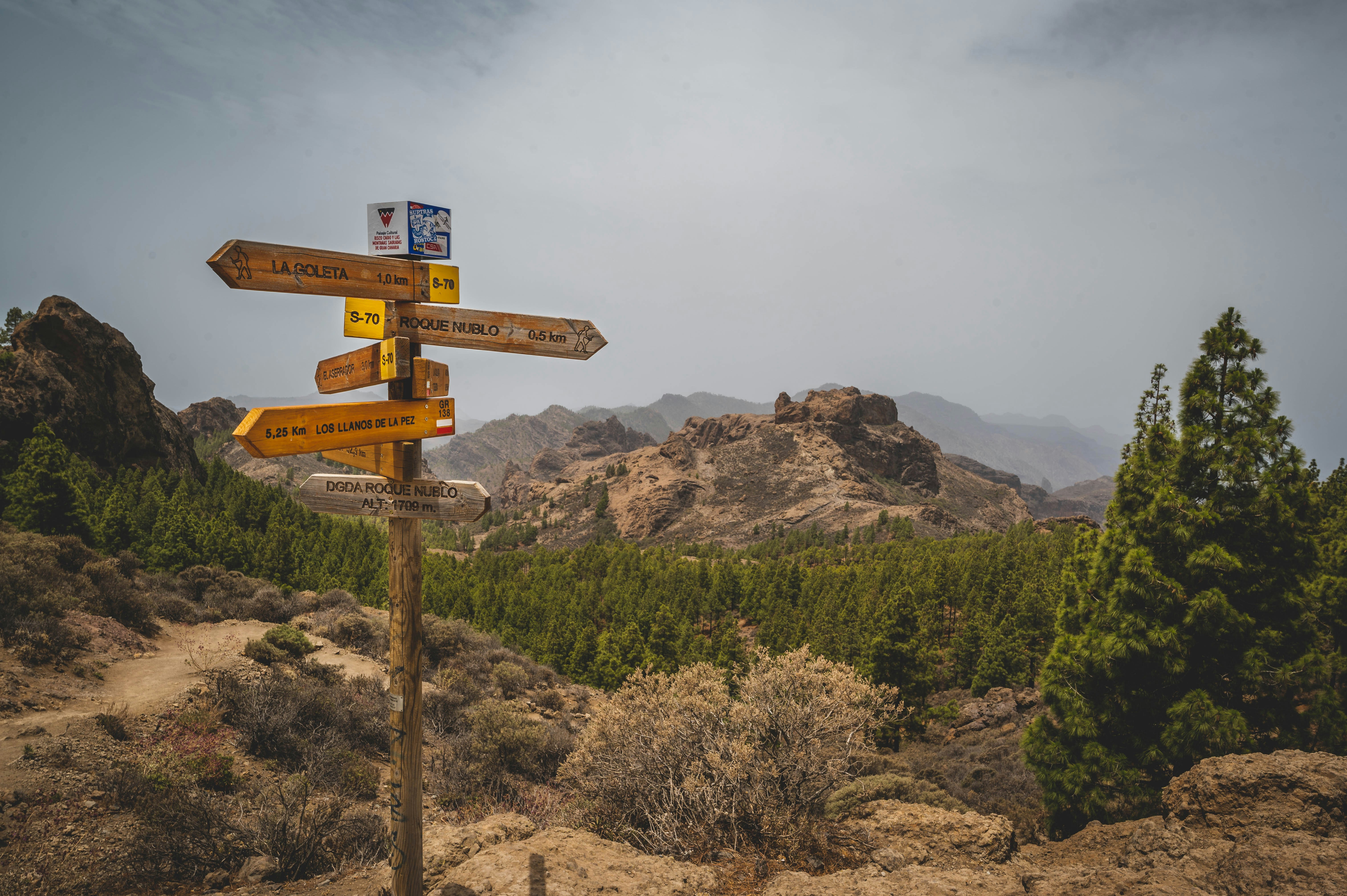 A wooden sign pointing in different directions on a mountain photo ...