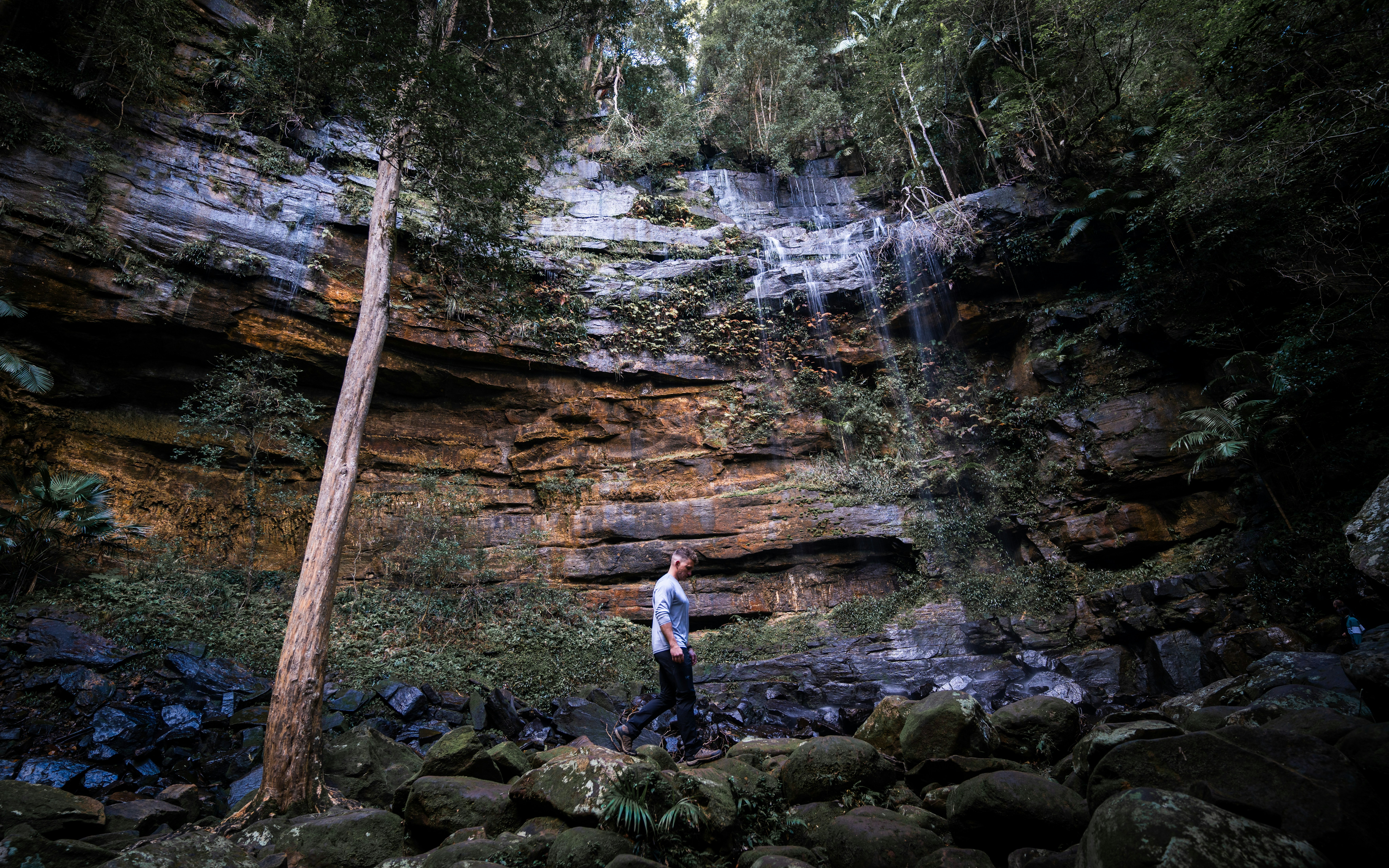 Footsteps Below the Cliff: A Lone Hiker in a Mossy Gorge