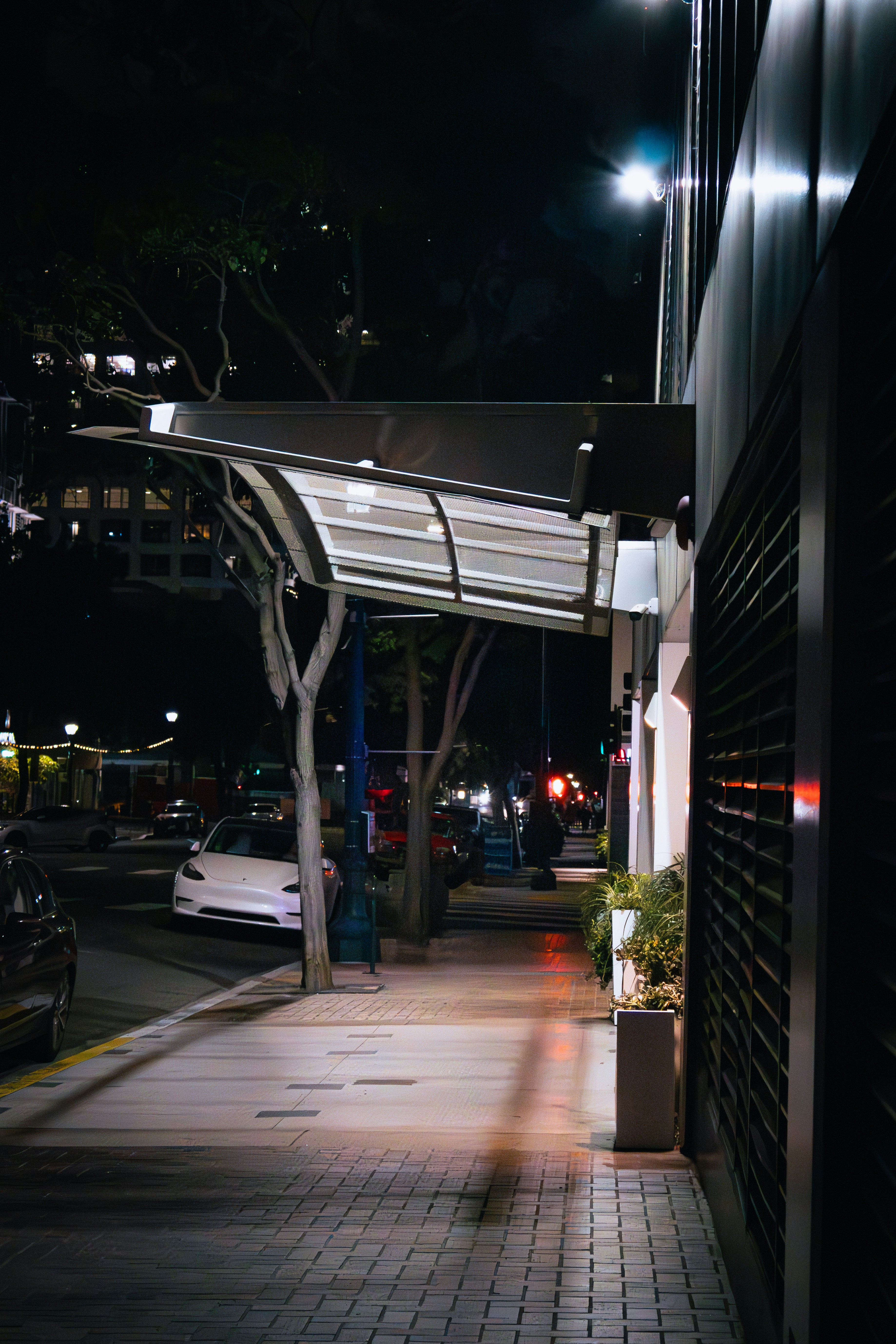Under the Glass Canopy: A Midnight City Walk