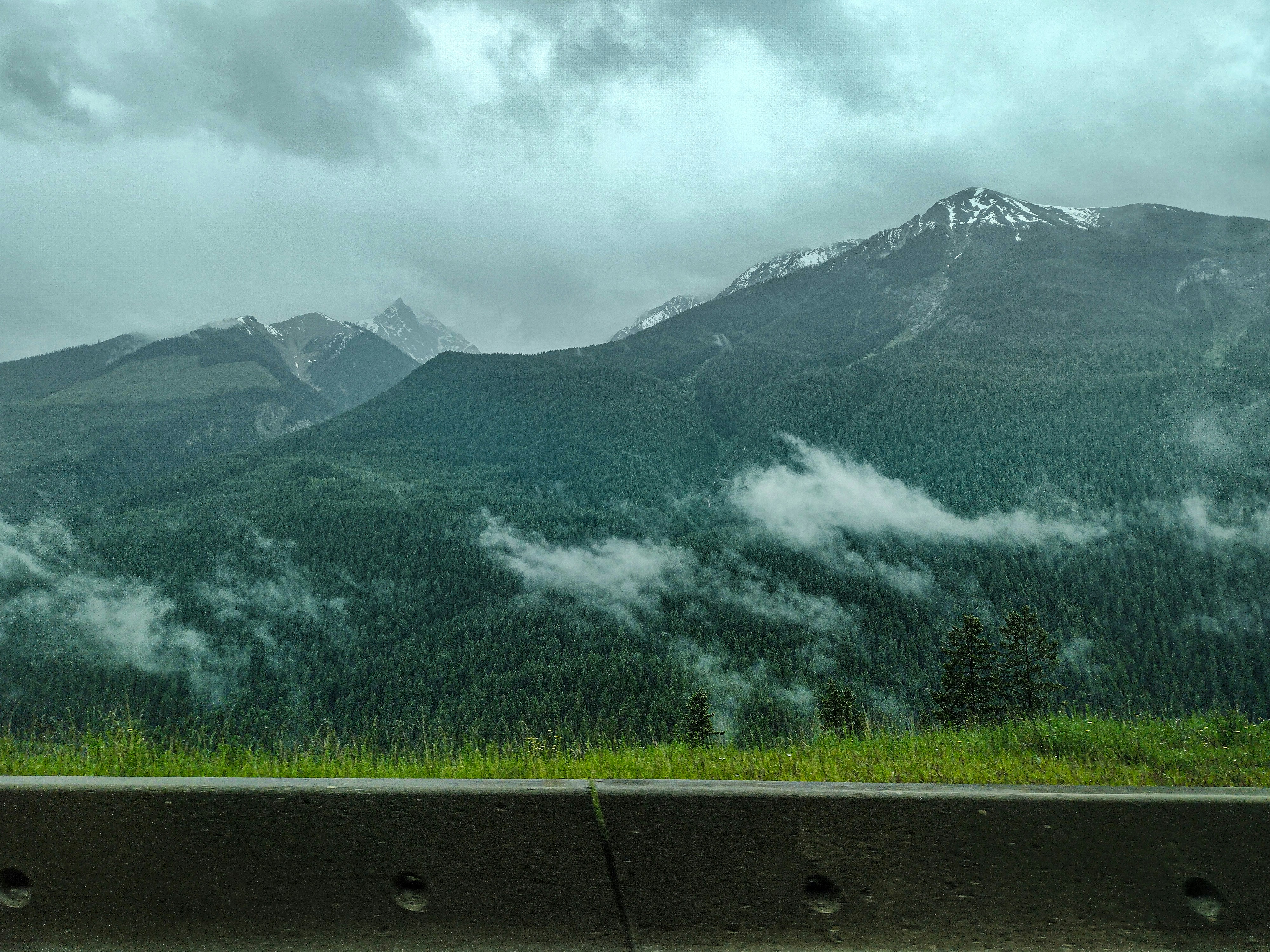 Snow-dusted peaks rise above a pine forest veiled in mist, with a guardrail in the foreground anchoring the landscape. A broad, atmospheric mountain scene captured in moody light.