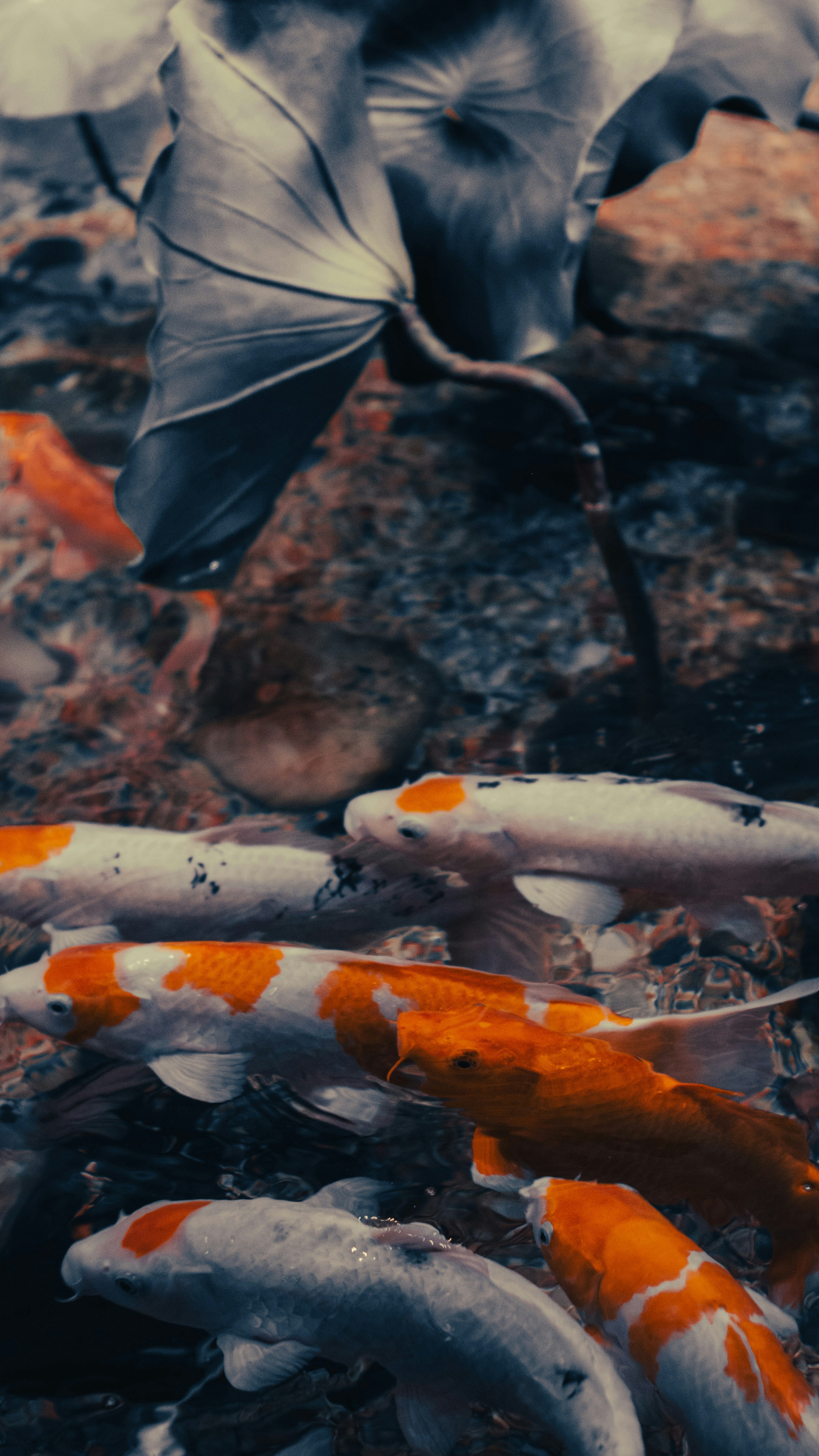 Dream Core Pictures | Download Free Images on Unsplash