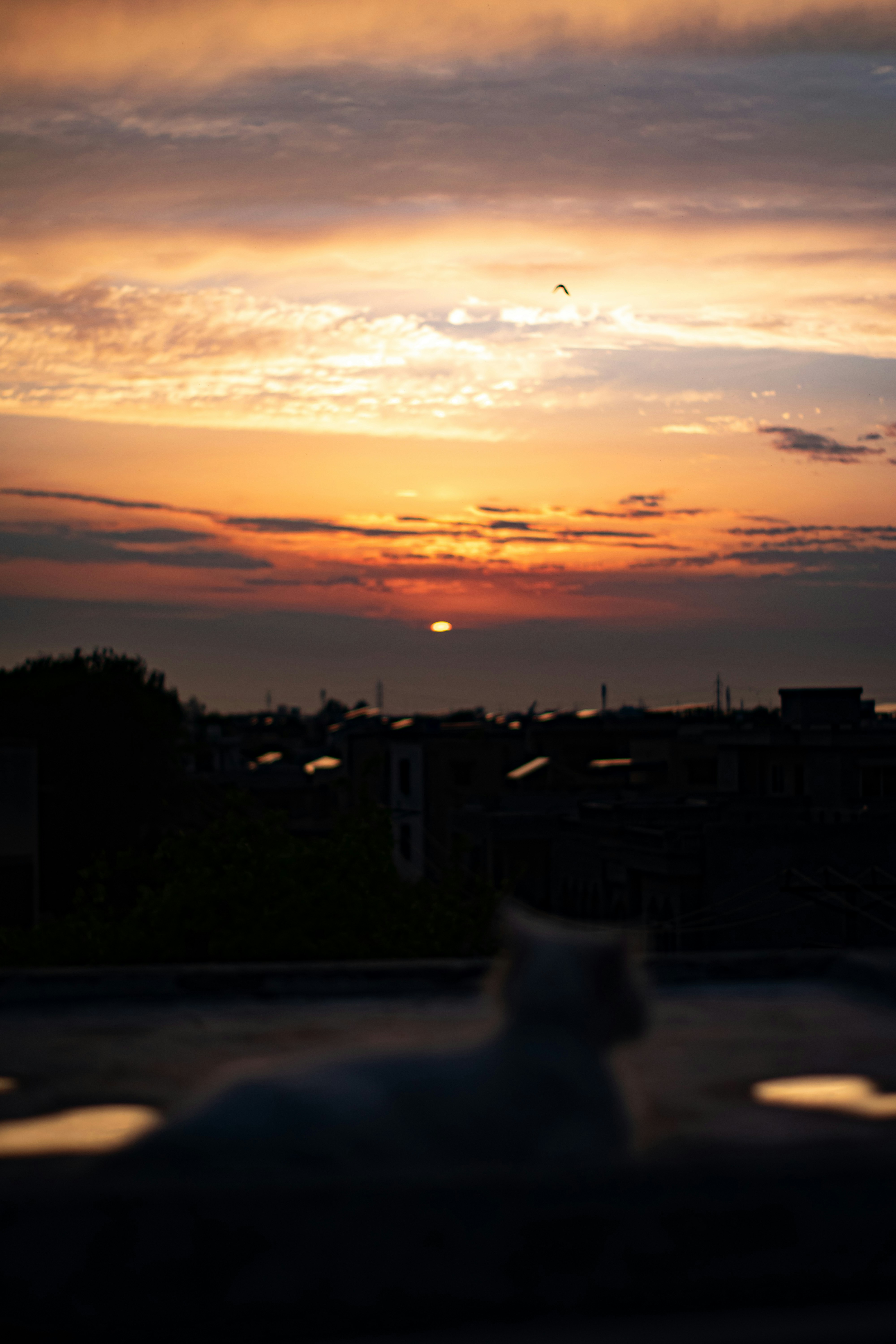 Sunset Over Rooftops: A Quiet City Dusk with a Soft Silhouette