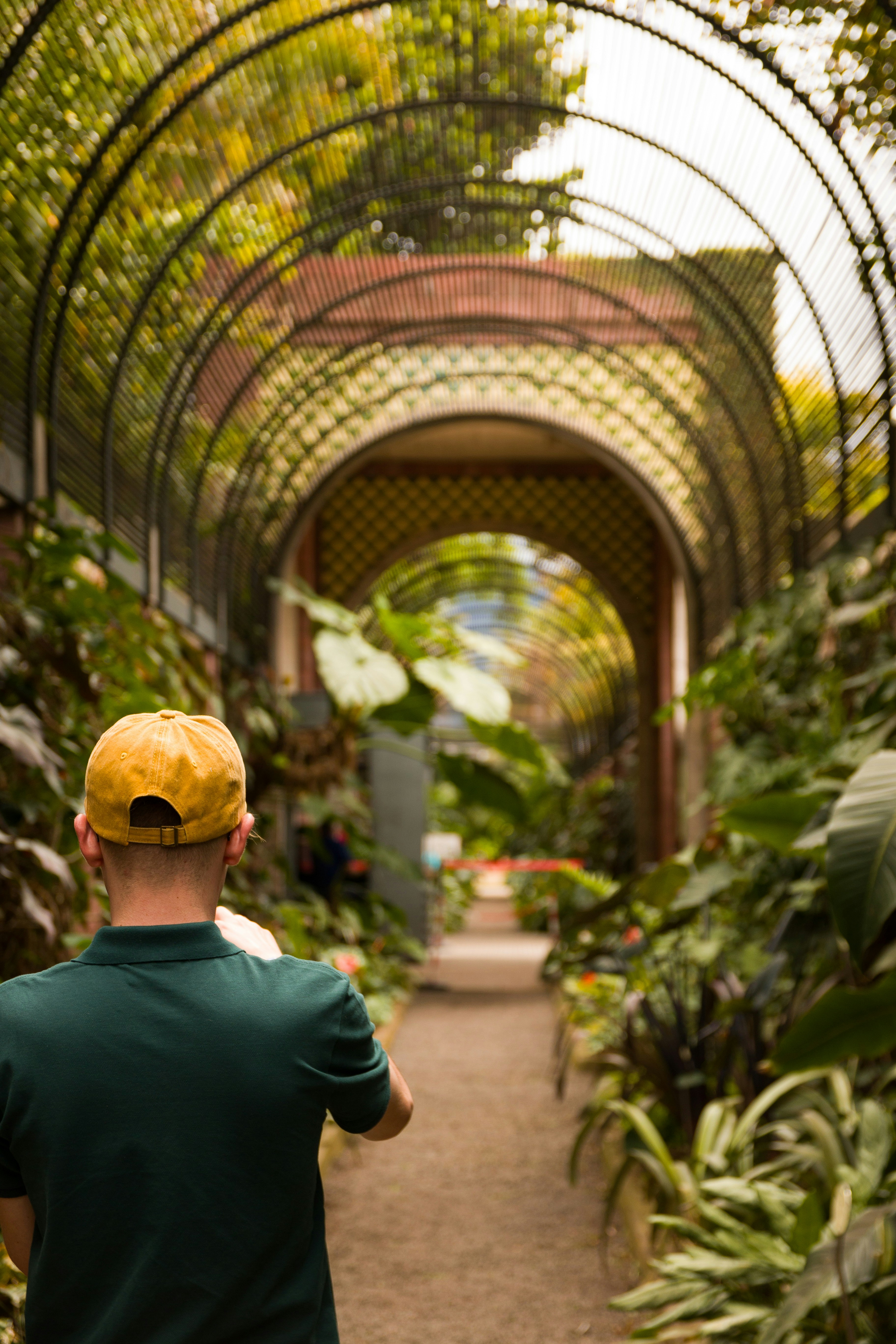Backlit in the Greenhouse Arch: A Quiet Walk Through the Conservatory Corridor