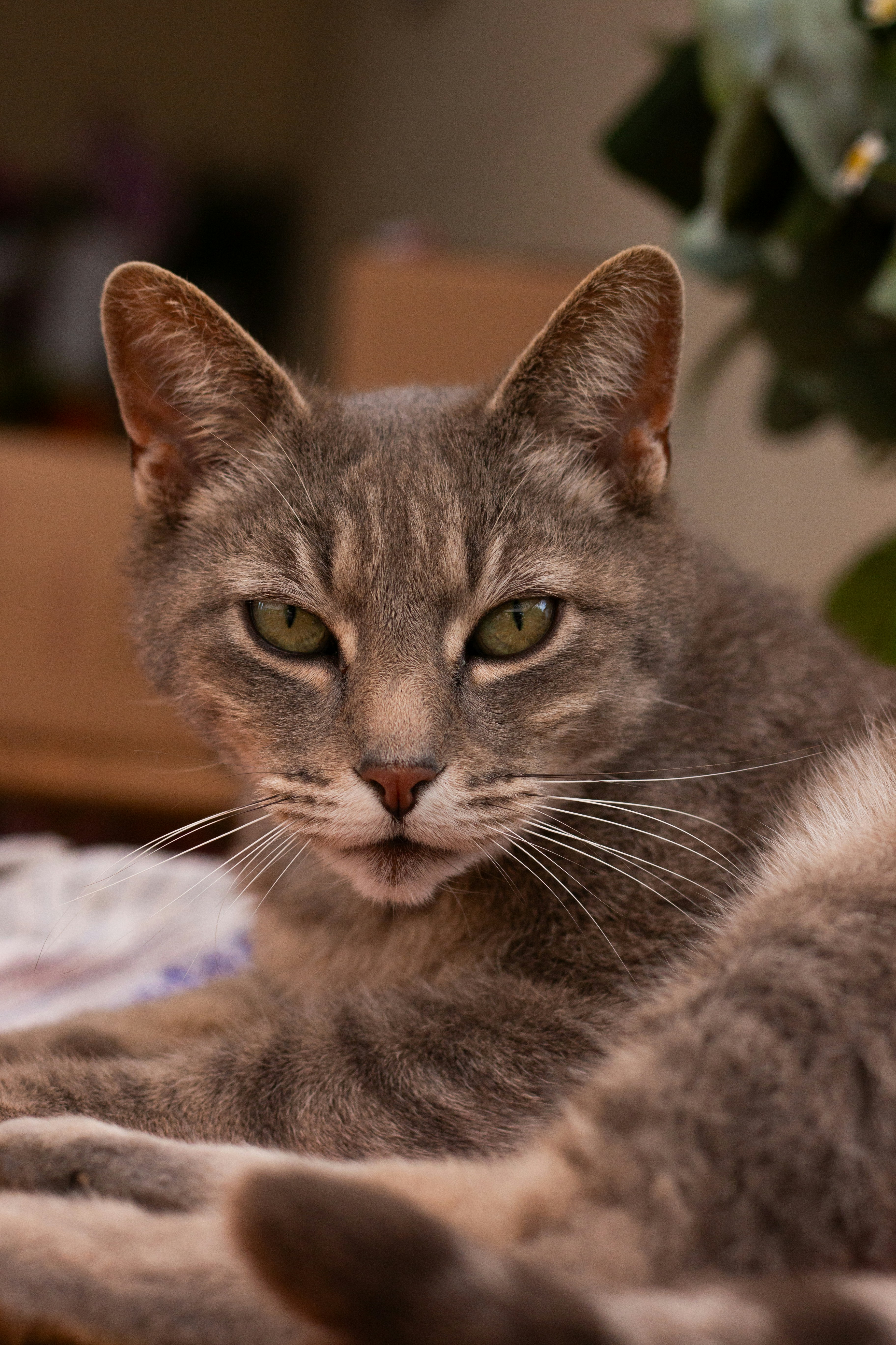 Photo by Léa Deleligne with Canon EOS 70D