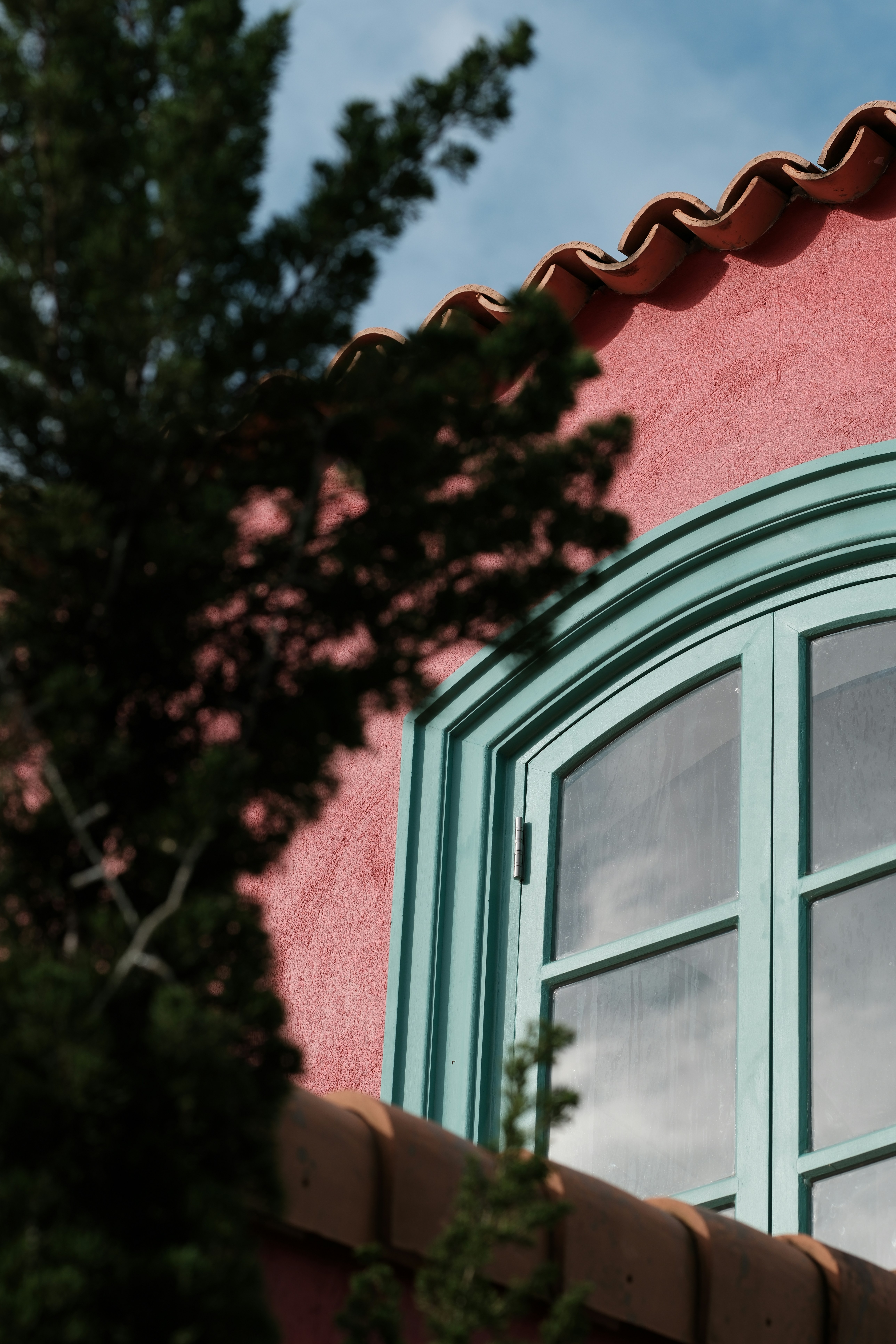 Teal-Arched Window on a Coral Facade with Shadowed Foliage
