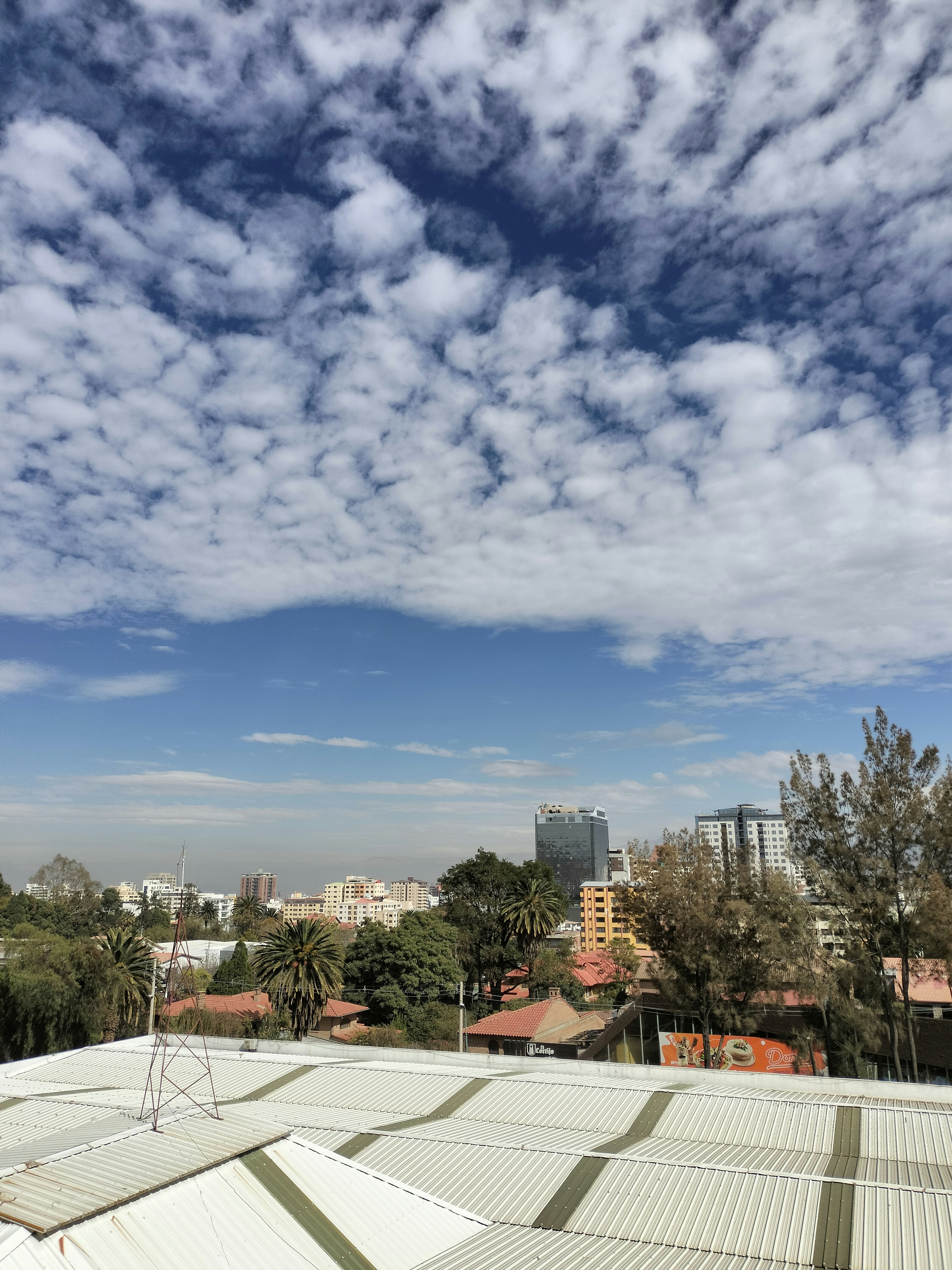 City skyline with mid-rise buildings and trees beneath a patchy cloud sky, viewed from a high rooftop level.