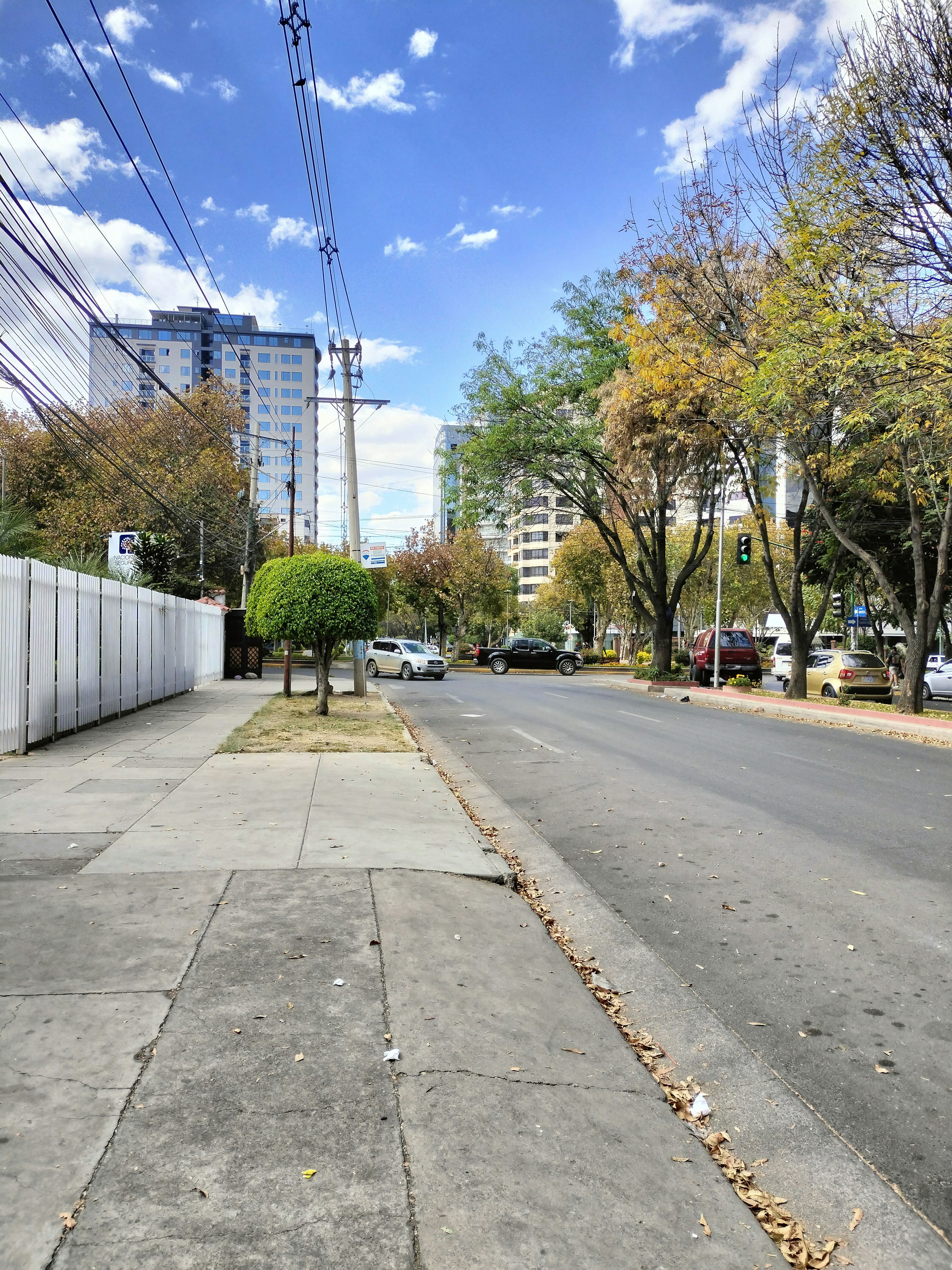 City Street in Autumn Light