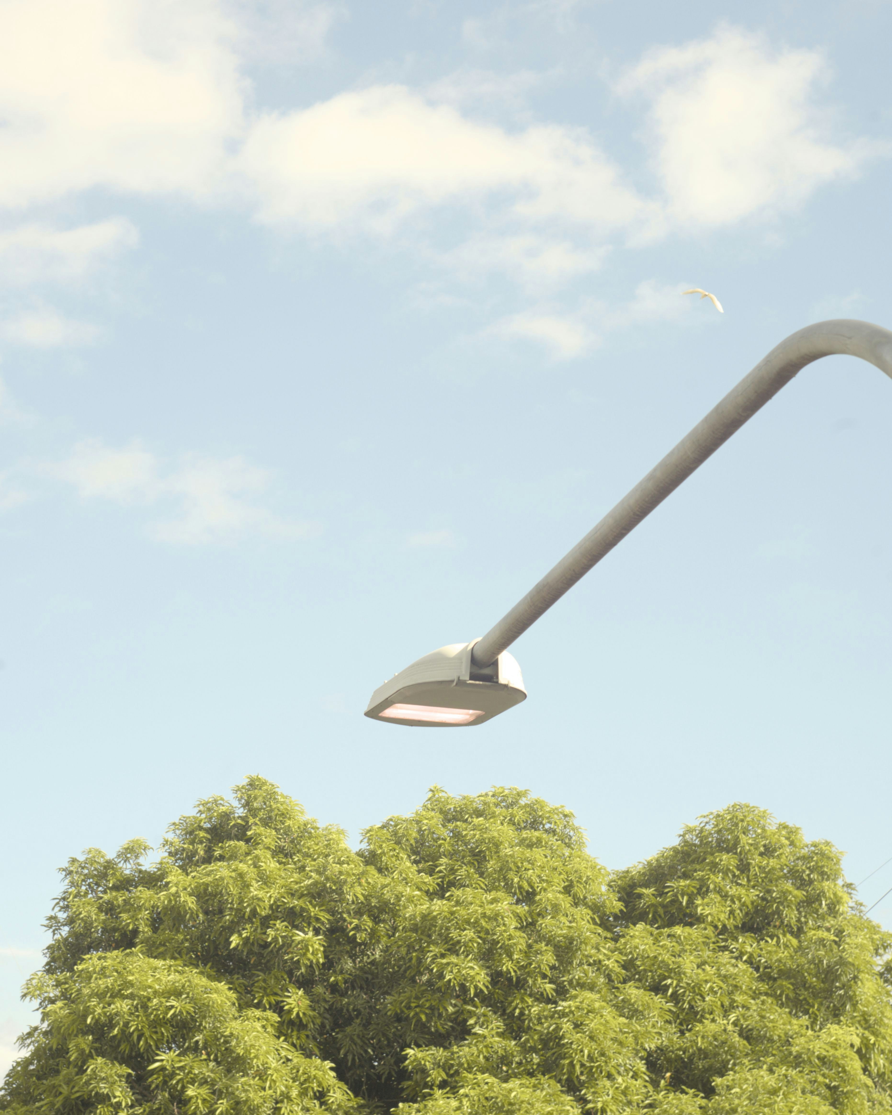 Cantilevered Streetlamp Silhouette Across a Pale Sky