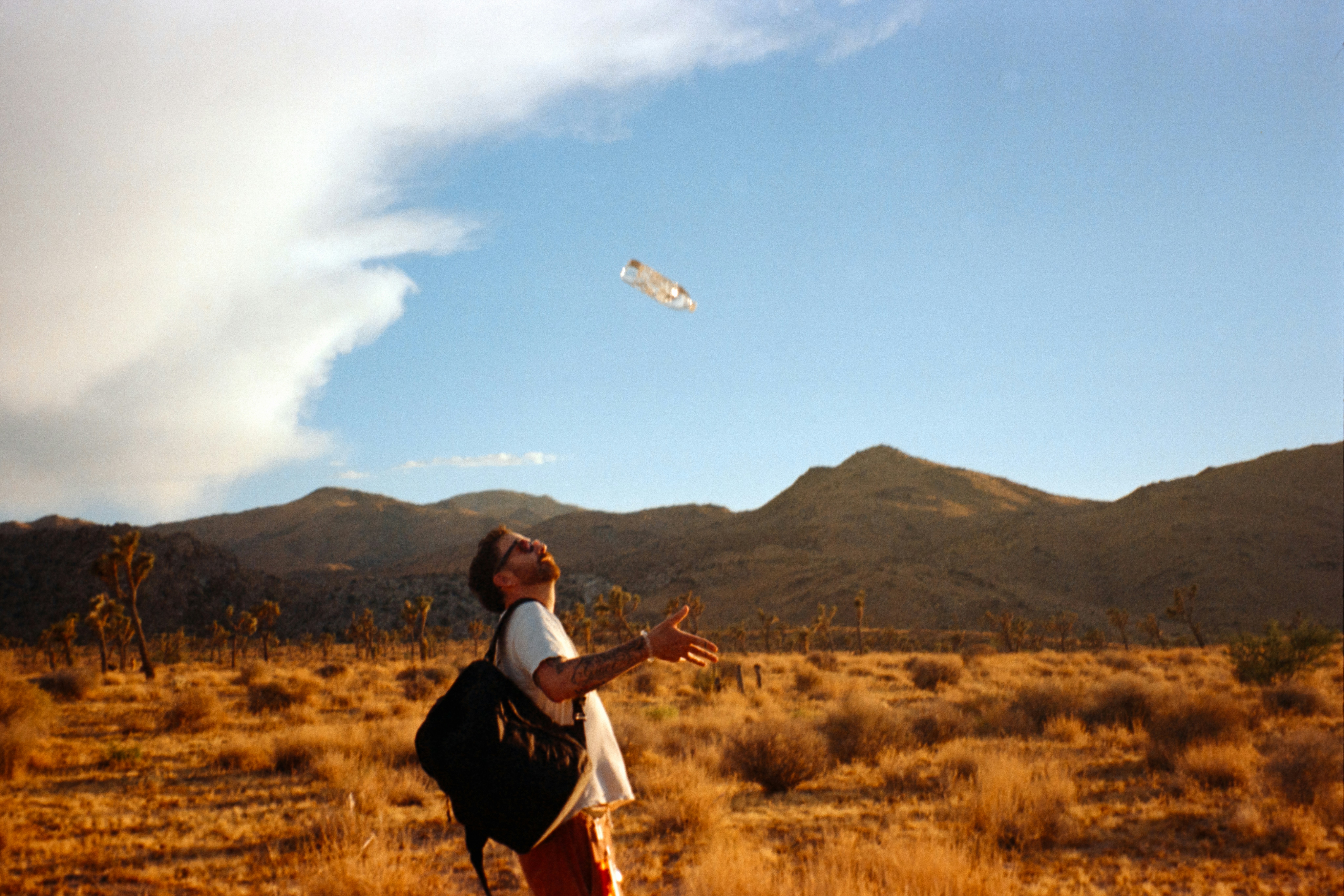 A person standing in a field flying a kite photo – Free Joshua tree ...