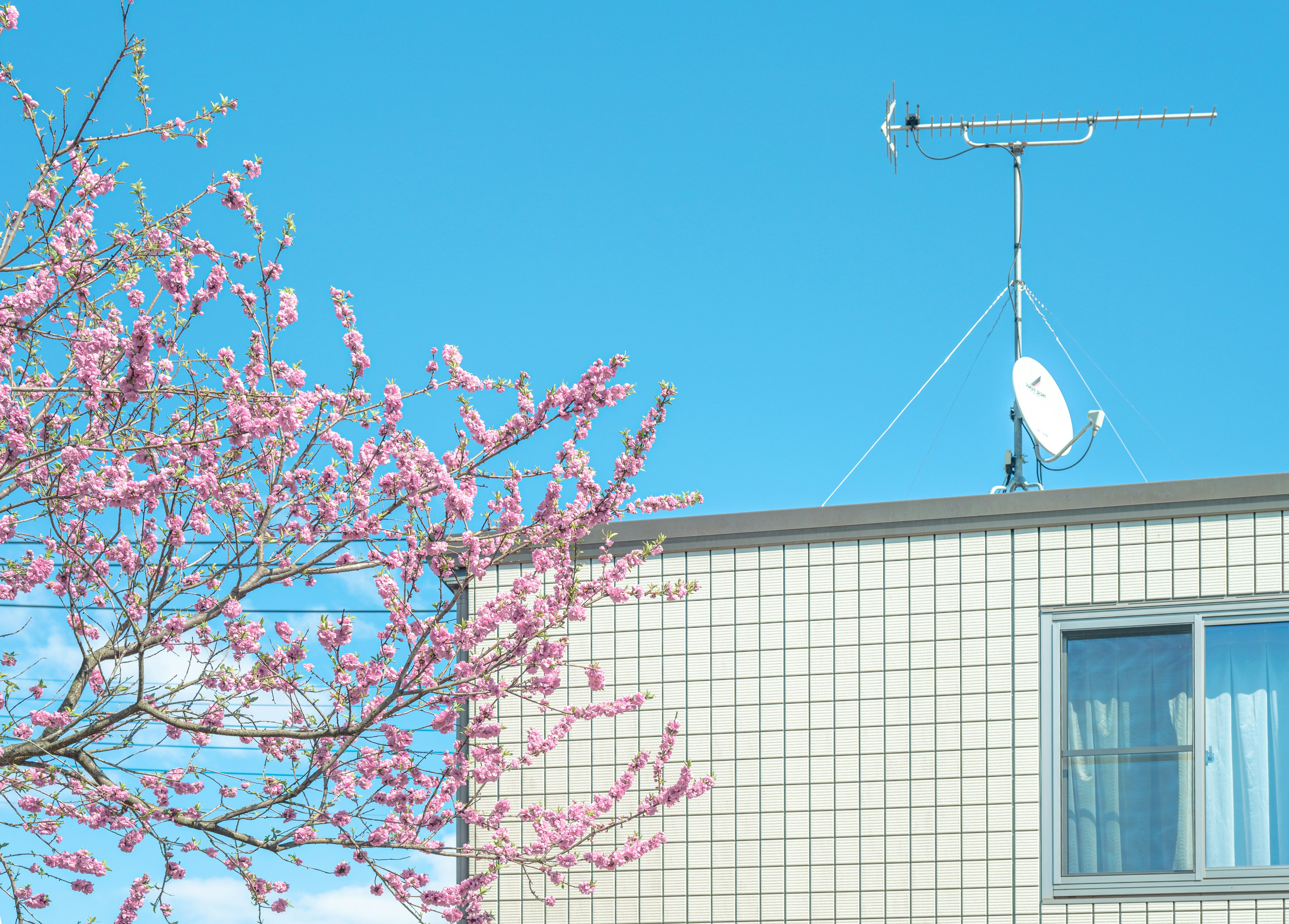 A building with a satellite dish on top of it