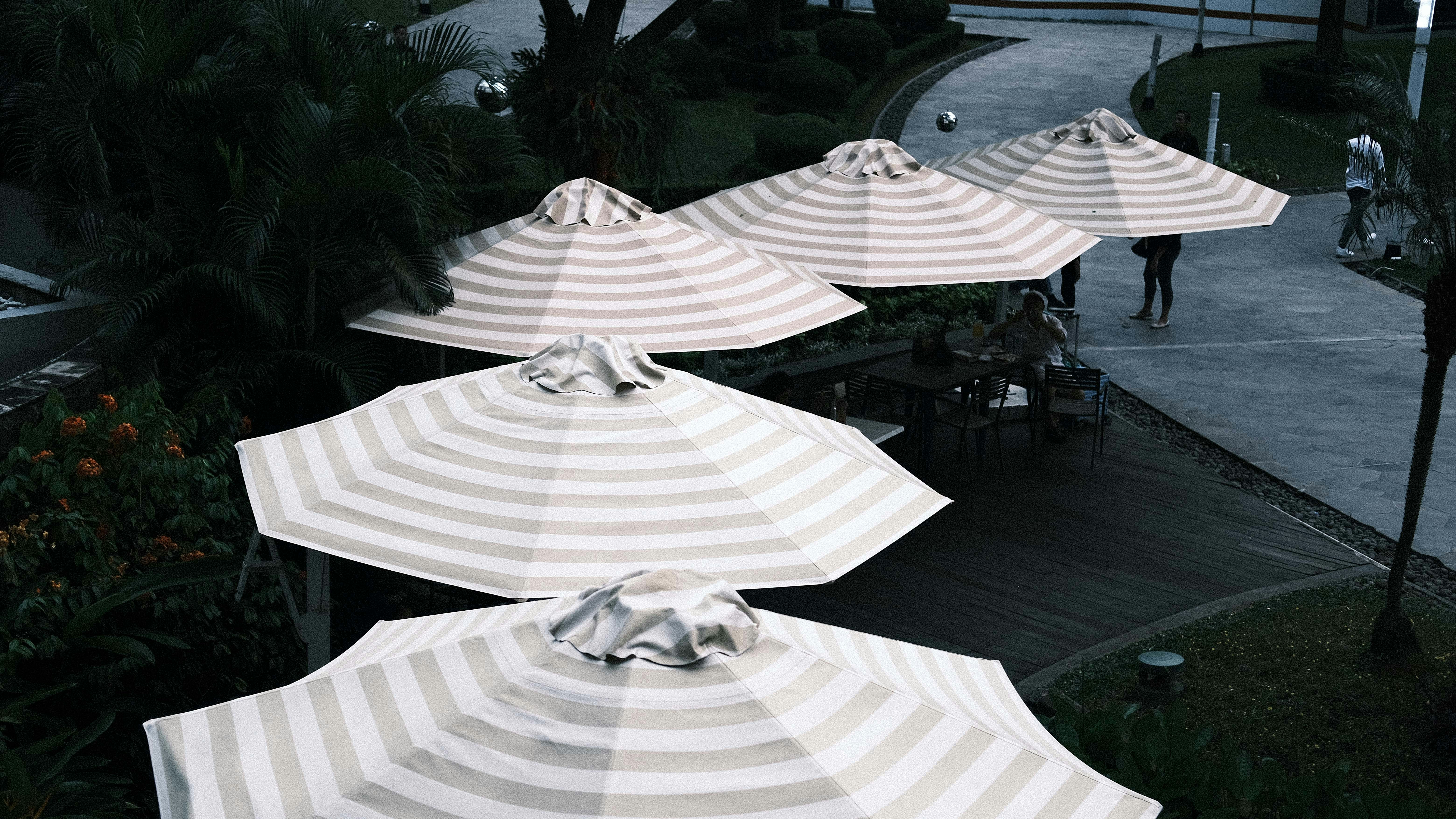 Striped Shade: A Quiet Row of parasol canopies along a garden path
