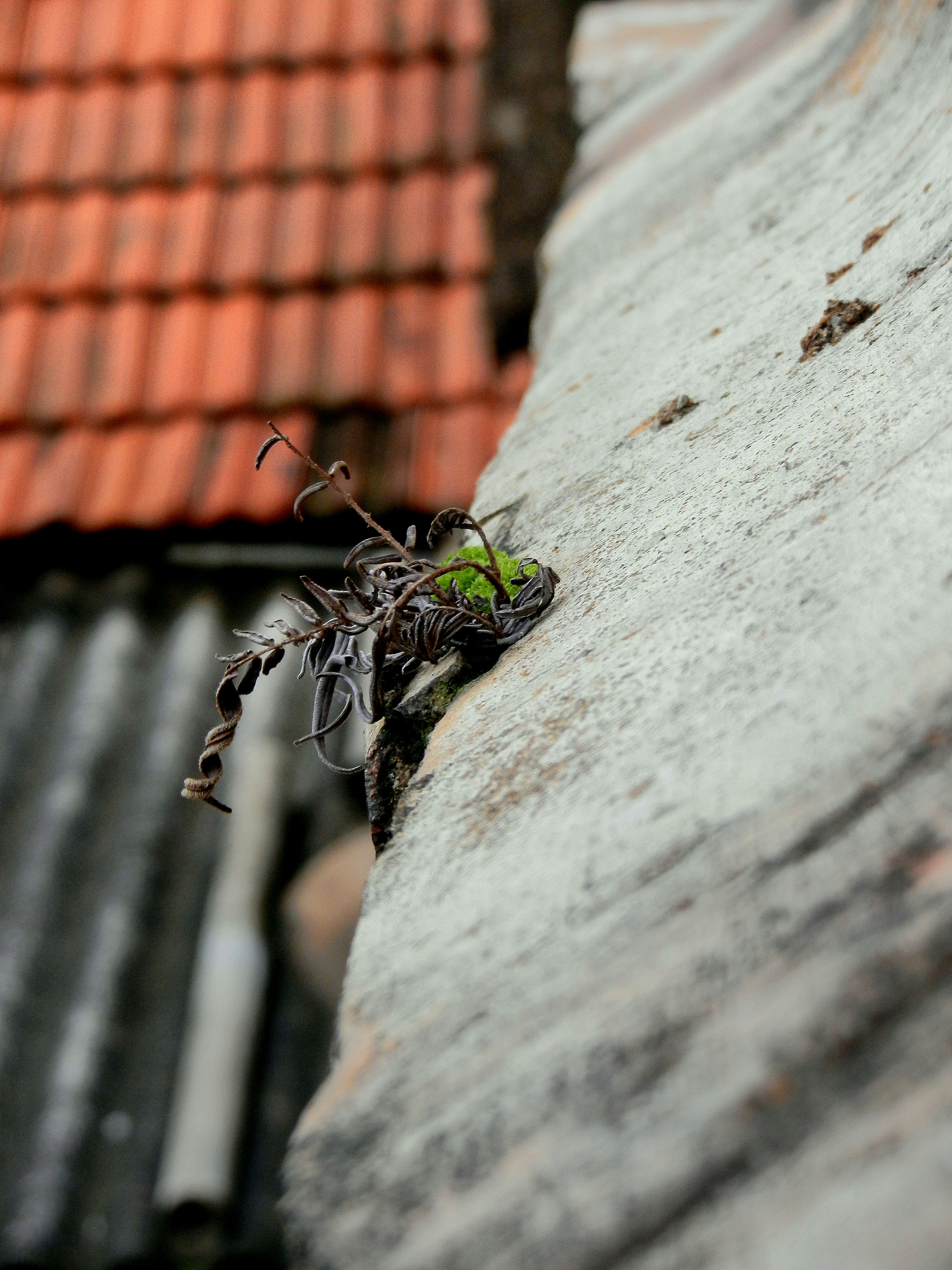 Photo by Muhammed Faizan Hussain with Nikon Coolpix S9100