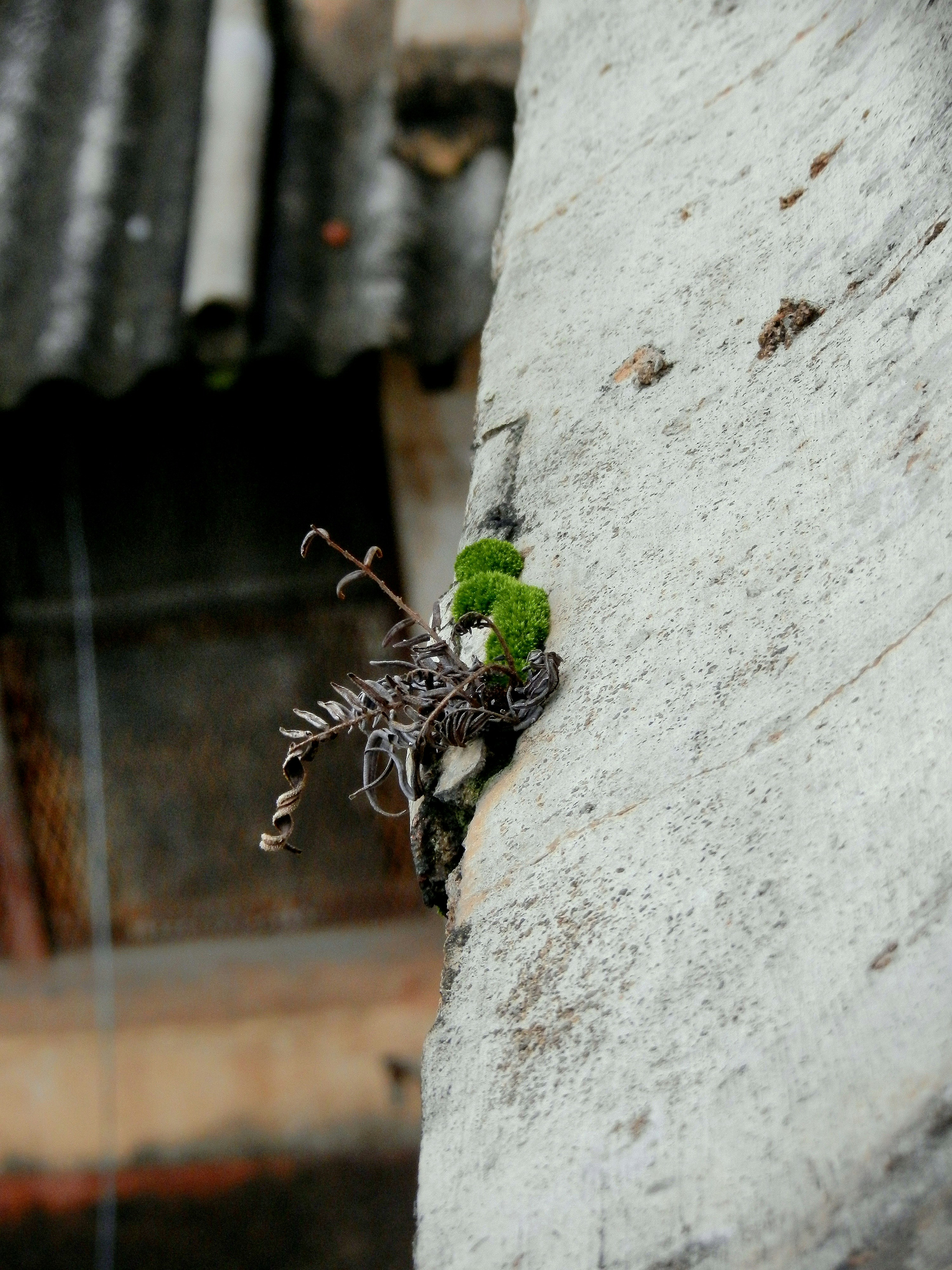 Photo by Muhammed Faizan Hussain with Nikon Coolpix S9100