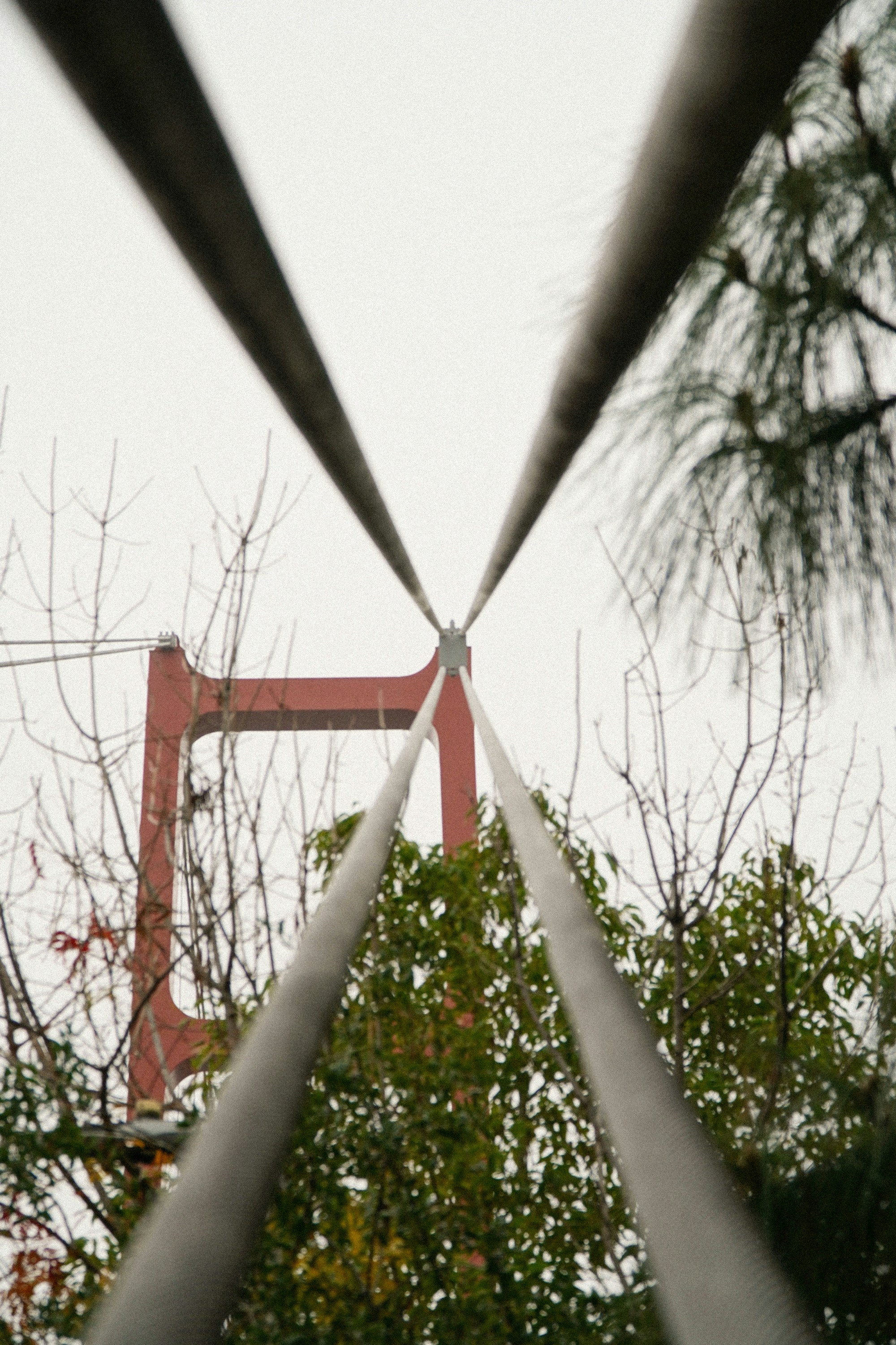 Axis Convergence: Steel Cables Meet at a Crimson Frame