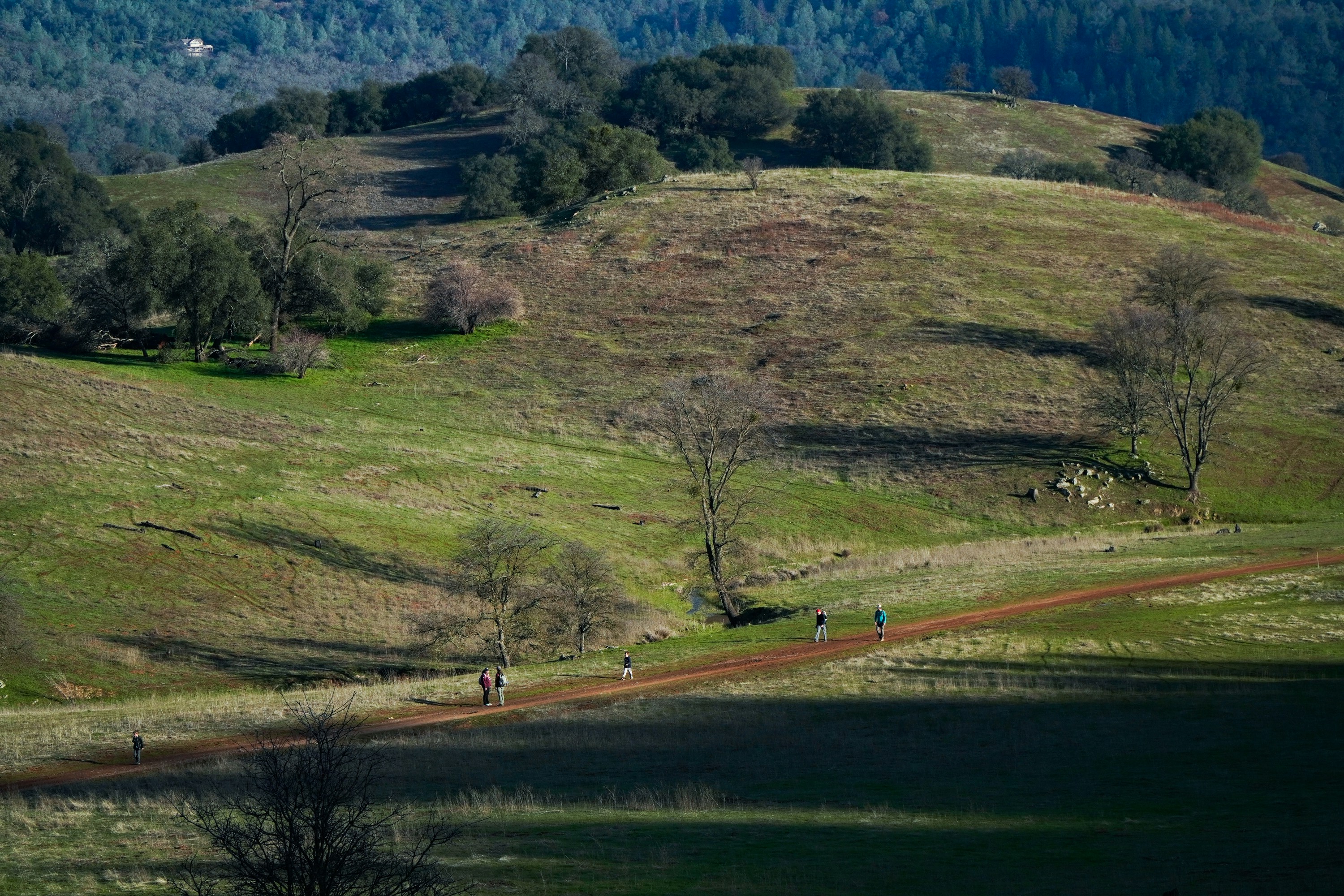 Hiker Trail Through a Sunlit Hillscape