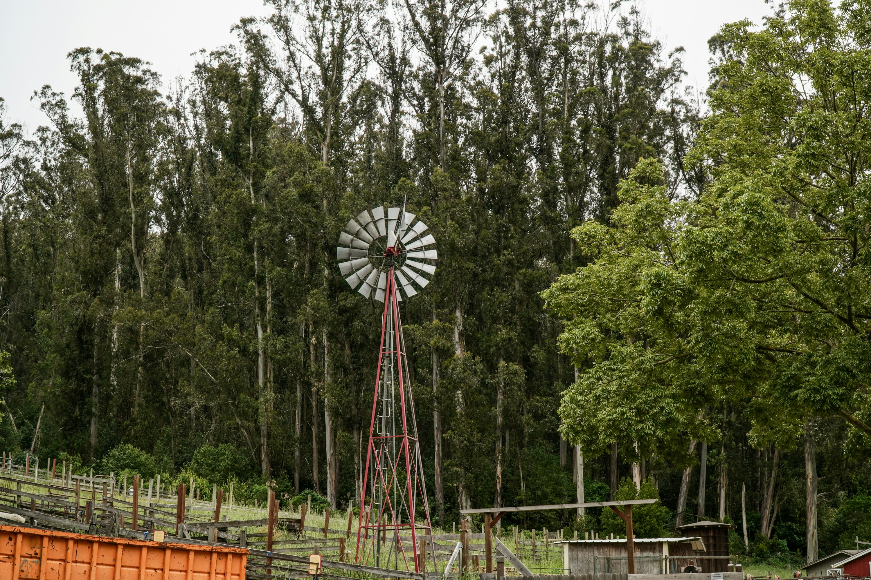 Photo by Joel Durkee with Sony Alpha 6100