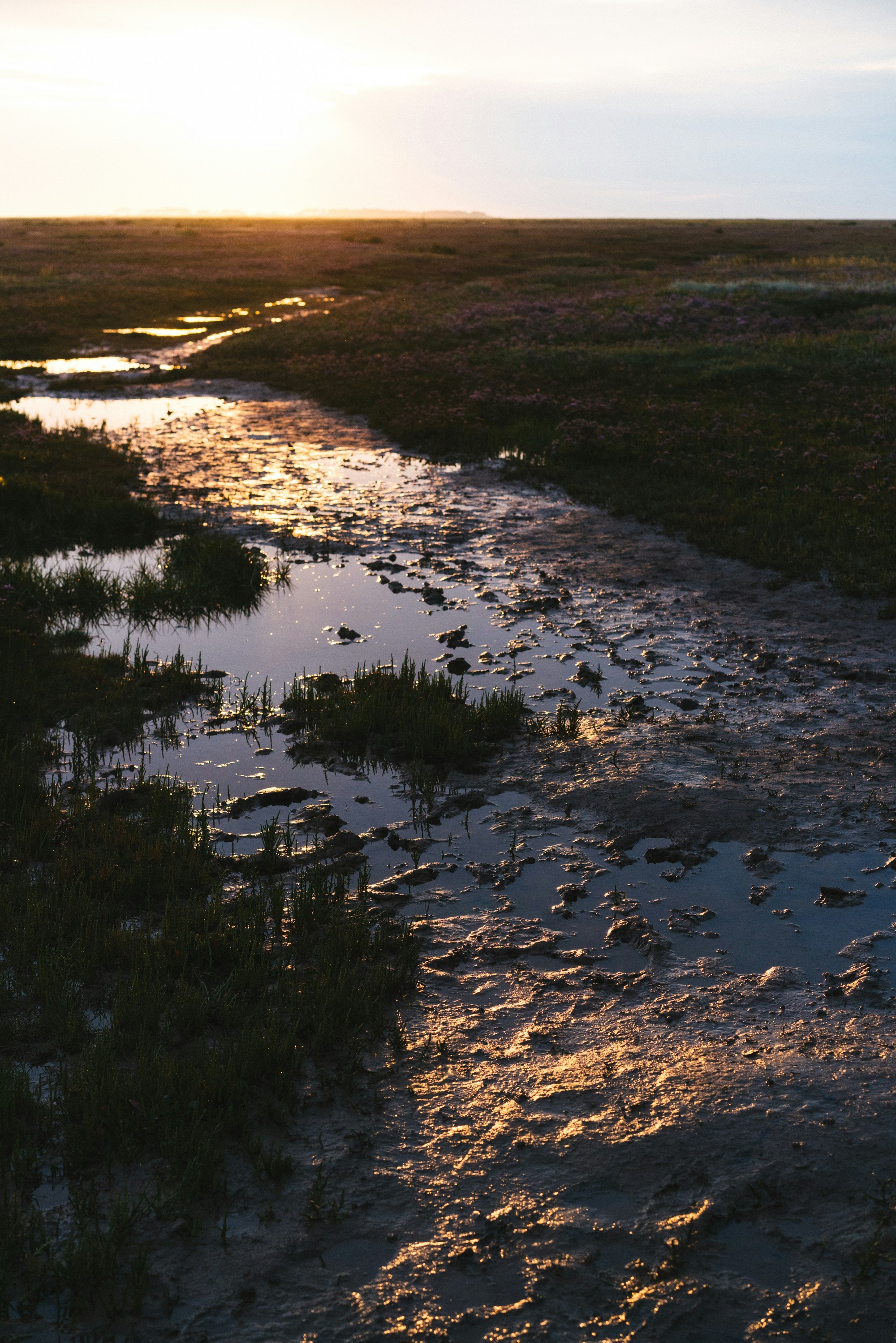 A river running through a lush green field photo – Free Marsh Image on ...