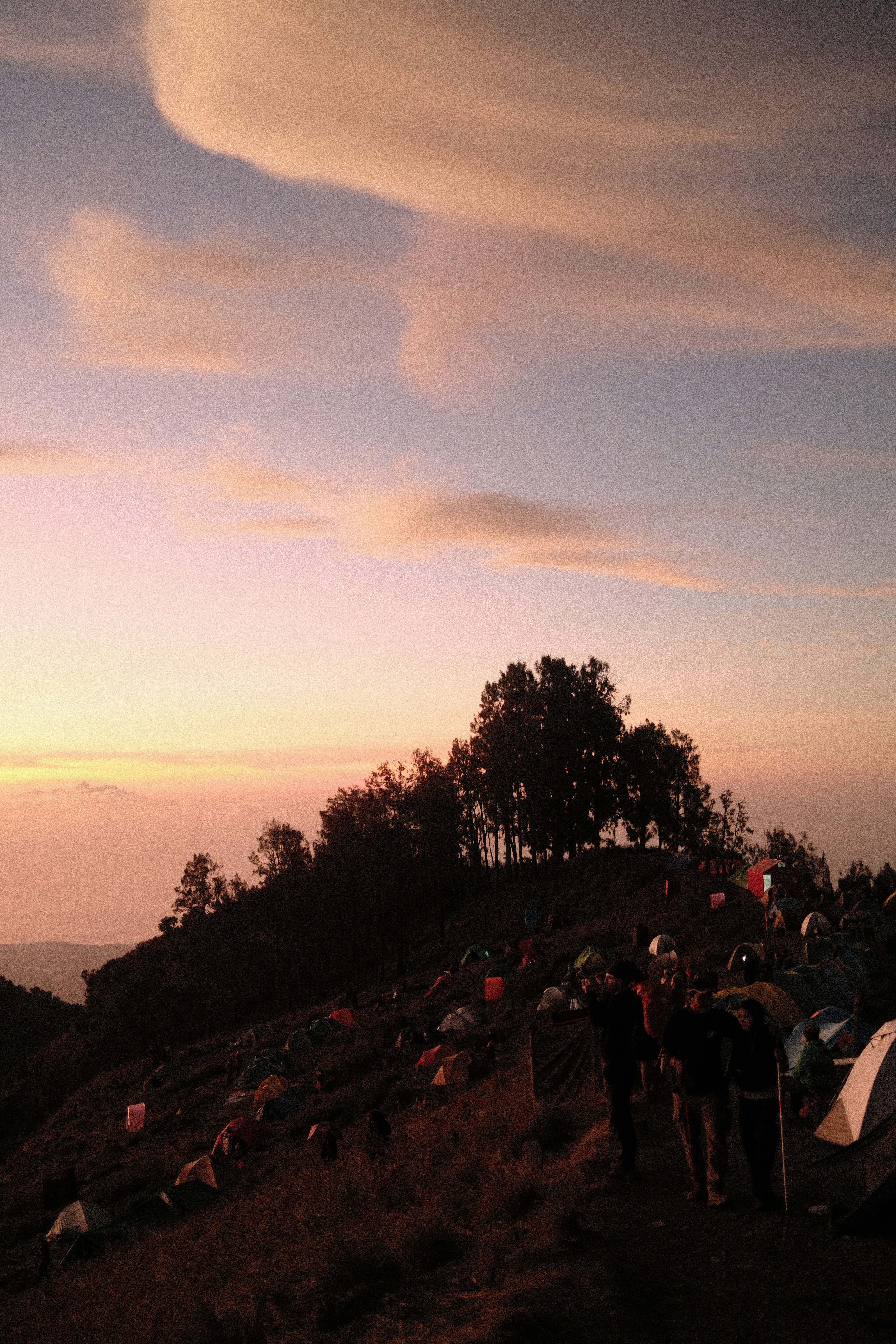 Colorful tents dotting a hillside at dusk with silhouetted trees against a vibrant sky. The scene captures the essence of outdoor camaraderie.