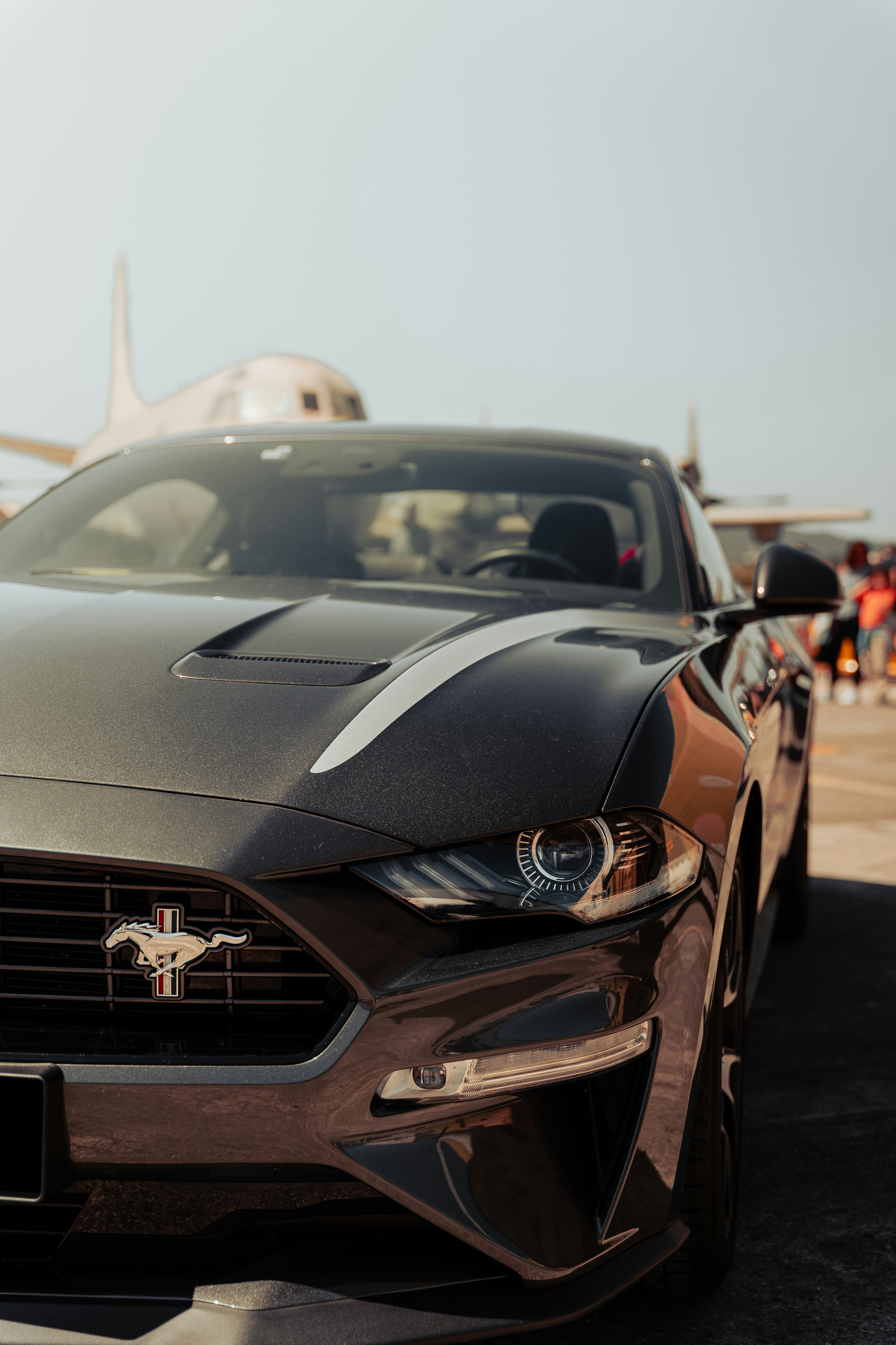 Shadows and Speed: Mustang at the Tarmac’s Edge
