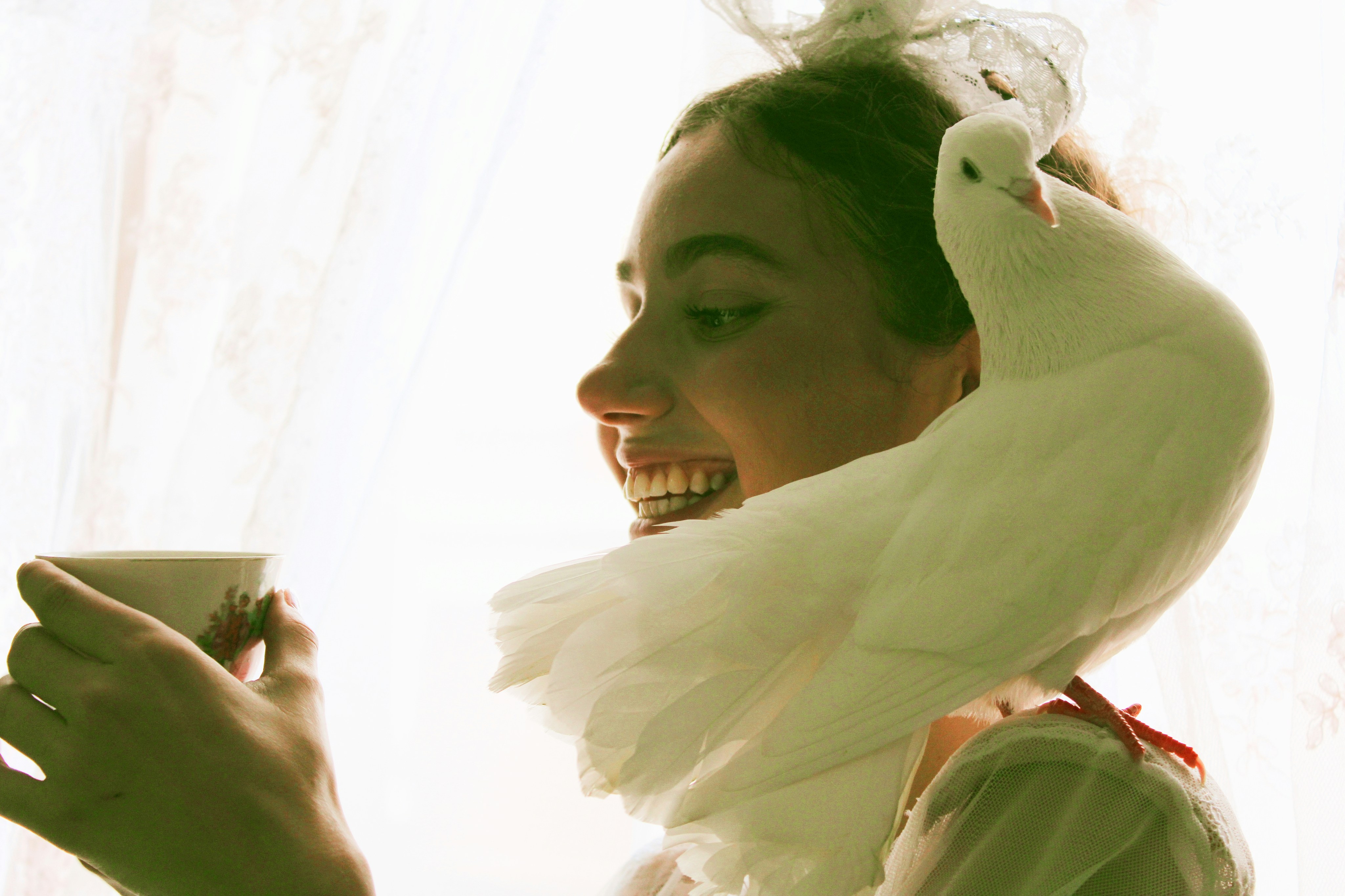 Smiling with the Dove: Morning Light and Warm Tea