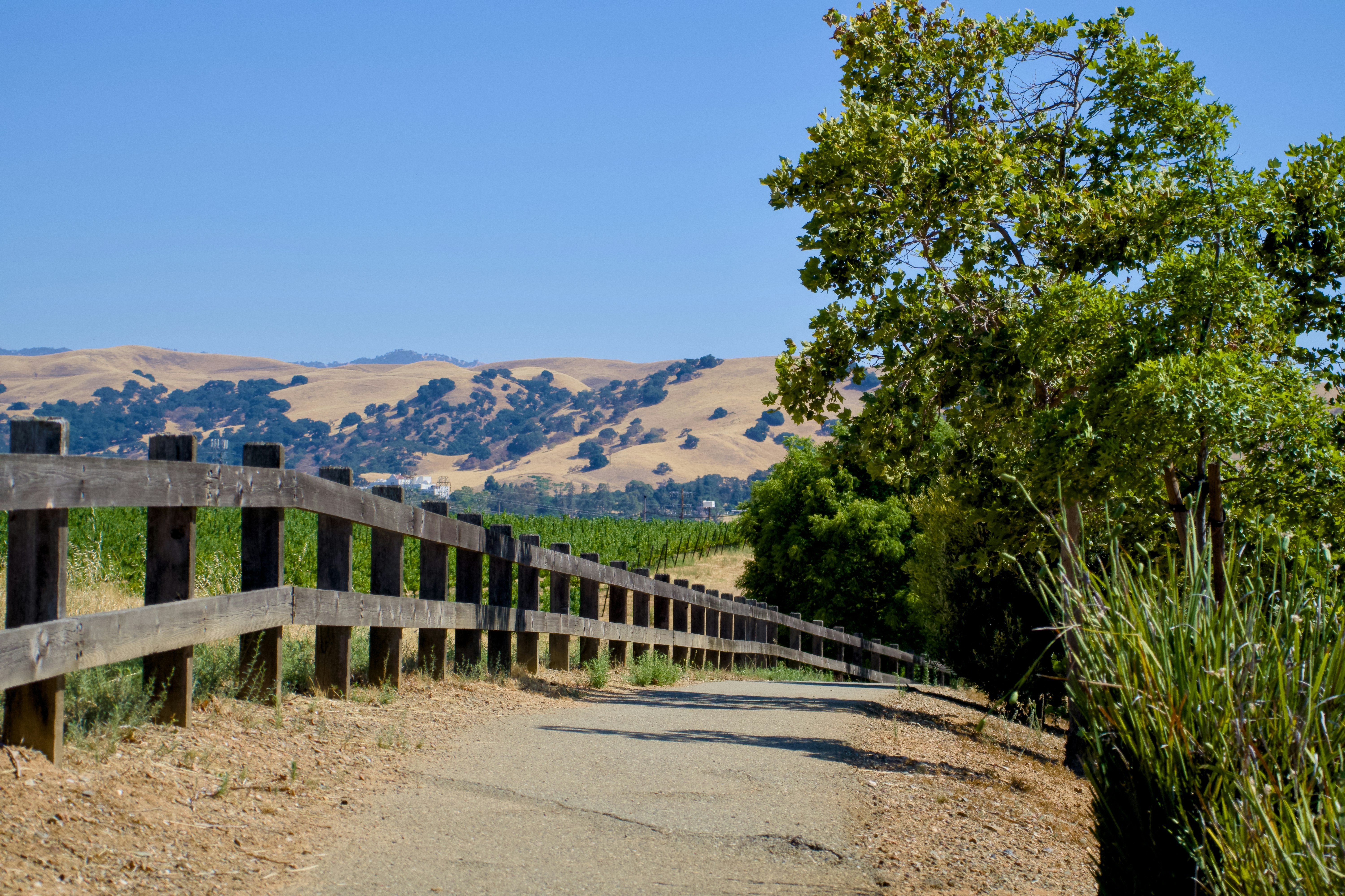 Fence-Lined Trail Toward a Quiet Ridge Under a Bright Sky