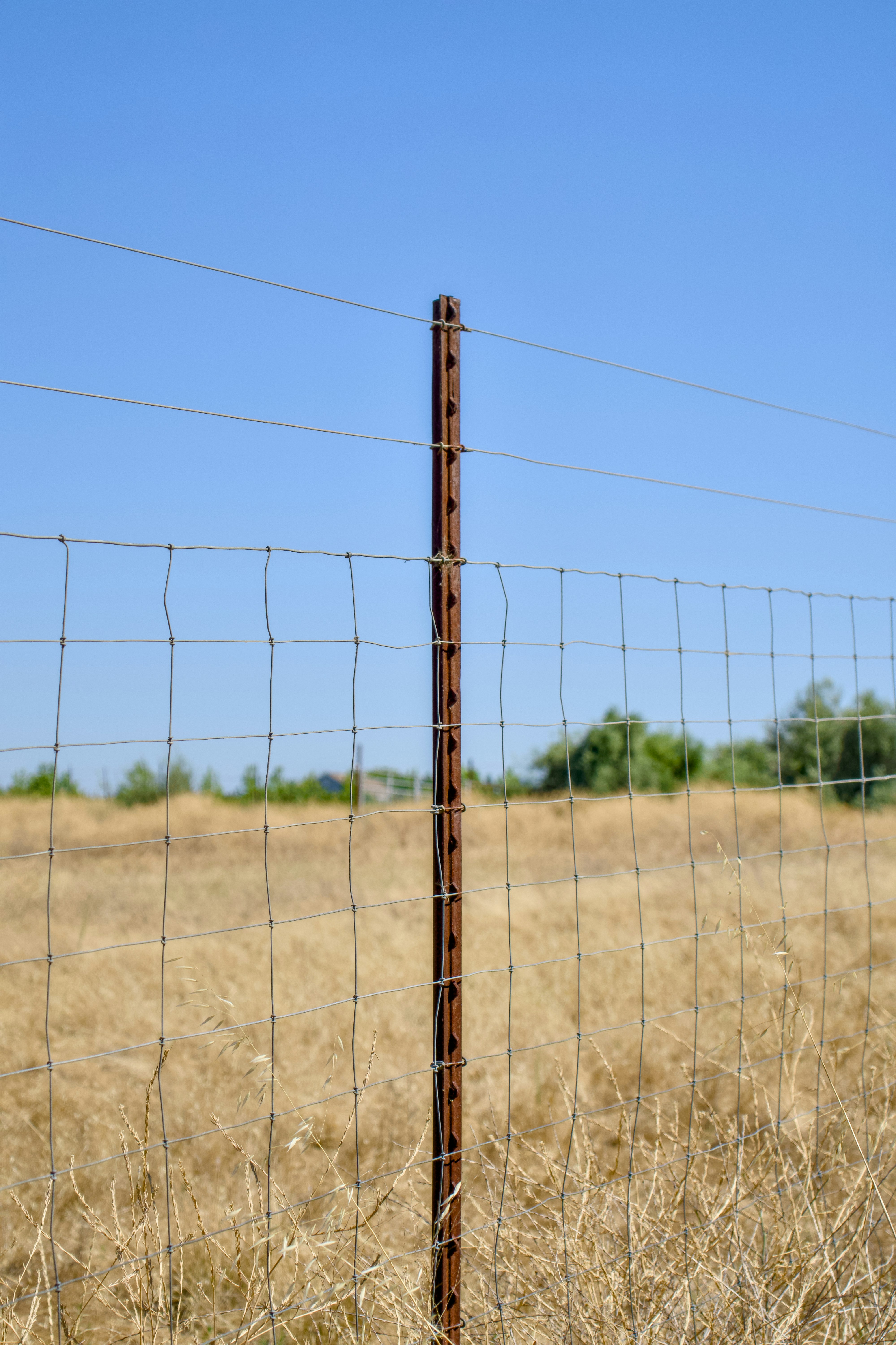 Rusted Fence Post Quietly Framing a Sunlit Field Under Azure Sky