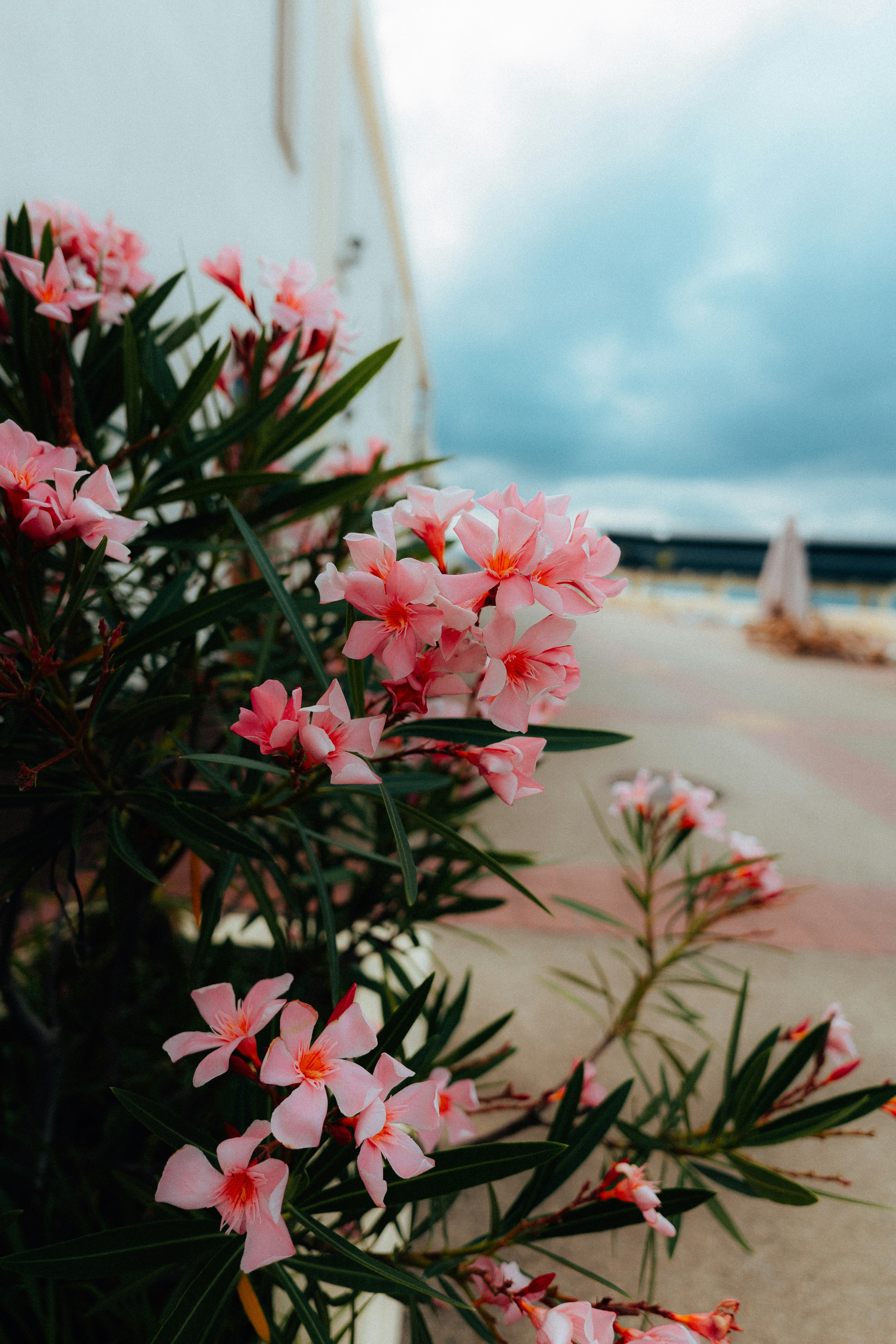 Photo by Sergey Beschastnykh with Sony Alpha 7 III