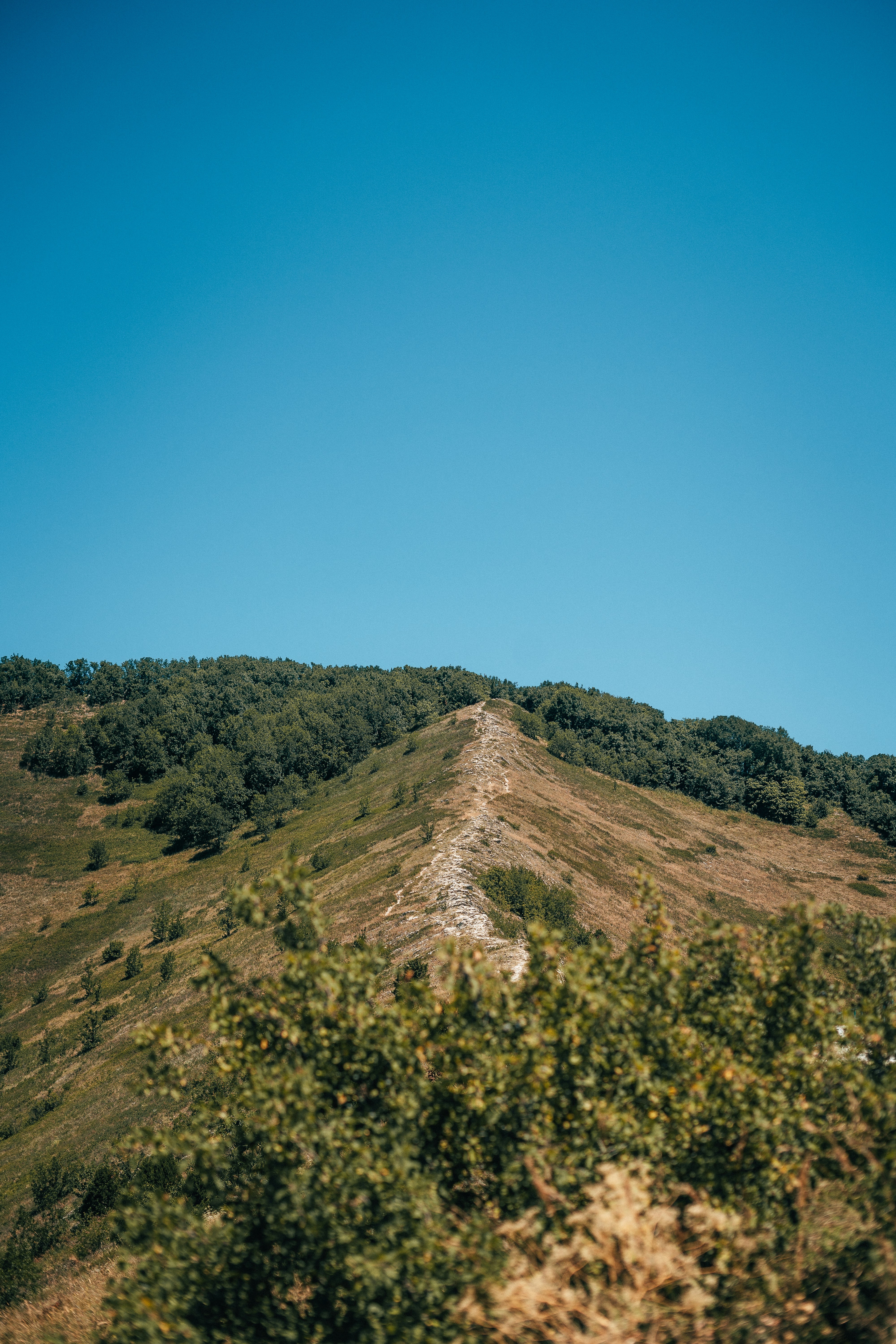 Ridgeline Ascent: A Sunlit Spine Cutting Through the Hill under a Sapphire Sky
