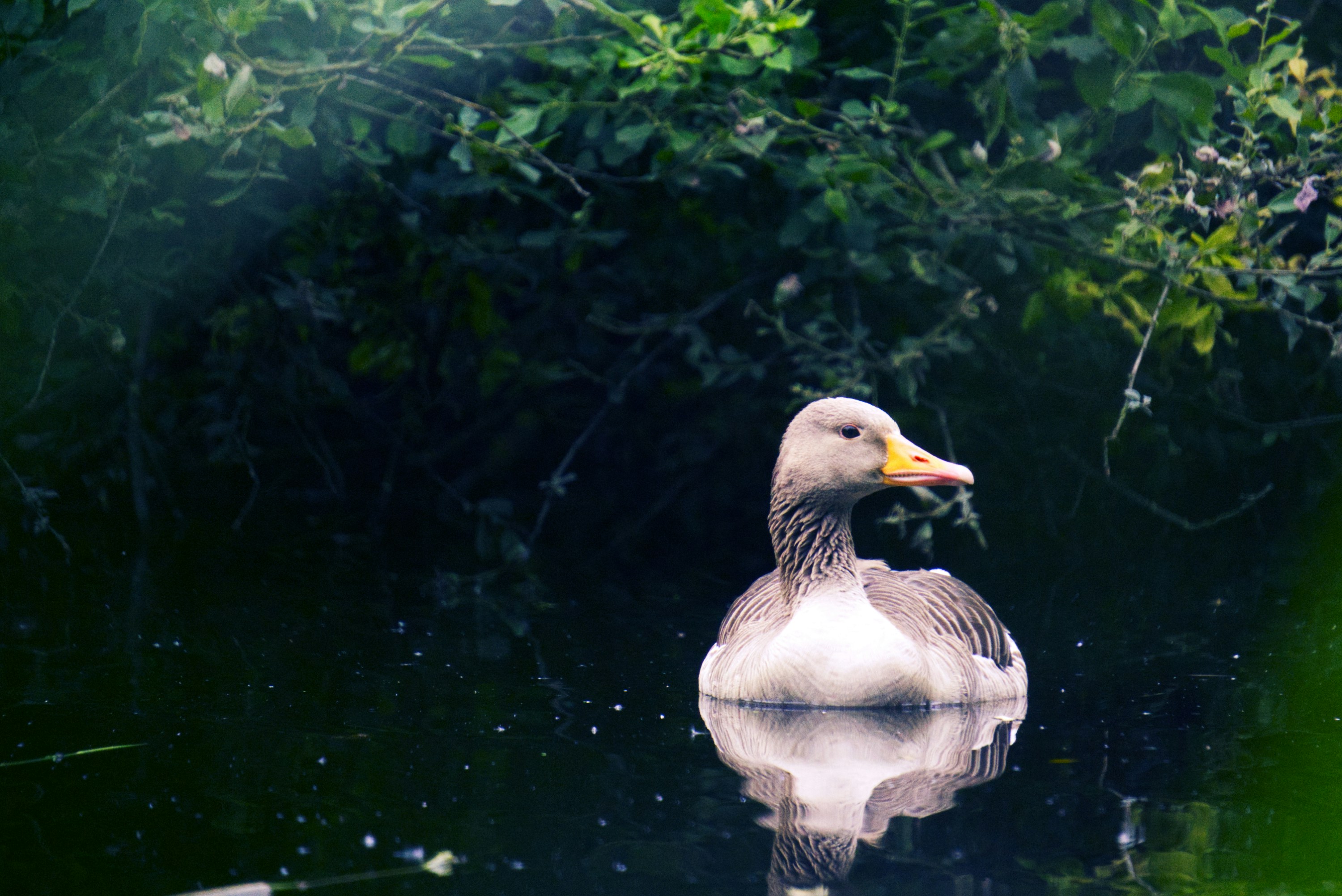 Photo by Denis M with Sony Alpha 5100