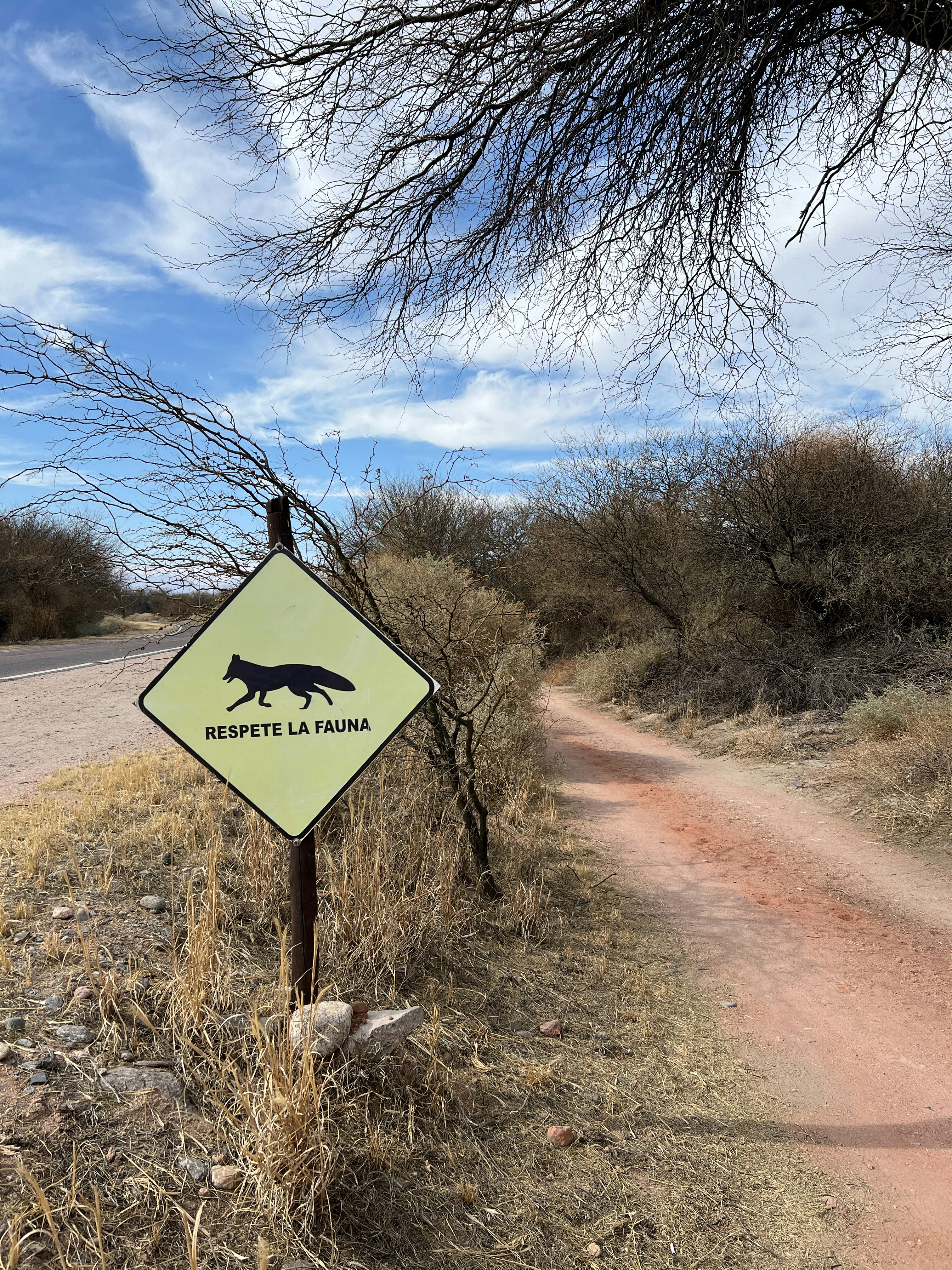 Desert Fox Warning Sign Along a Dusty Trail