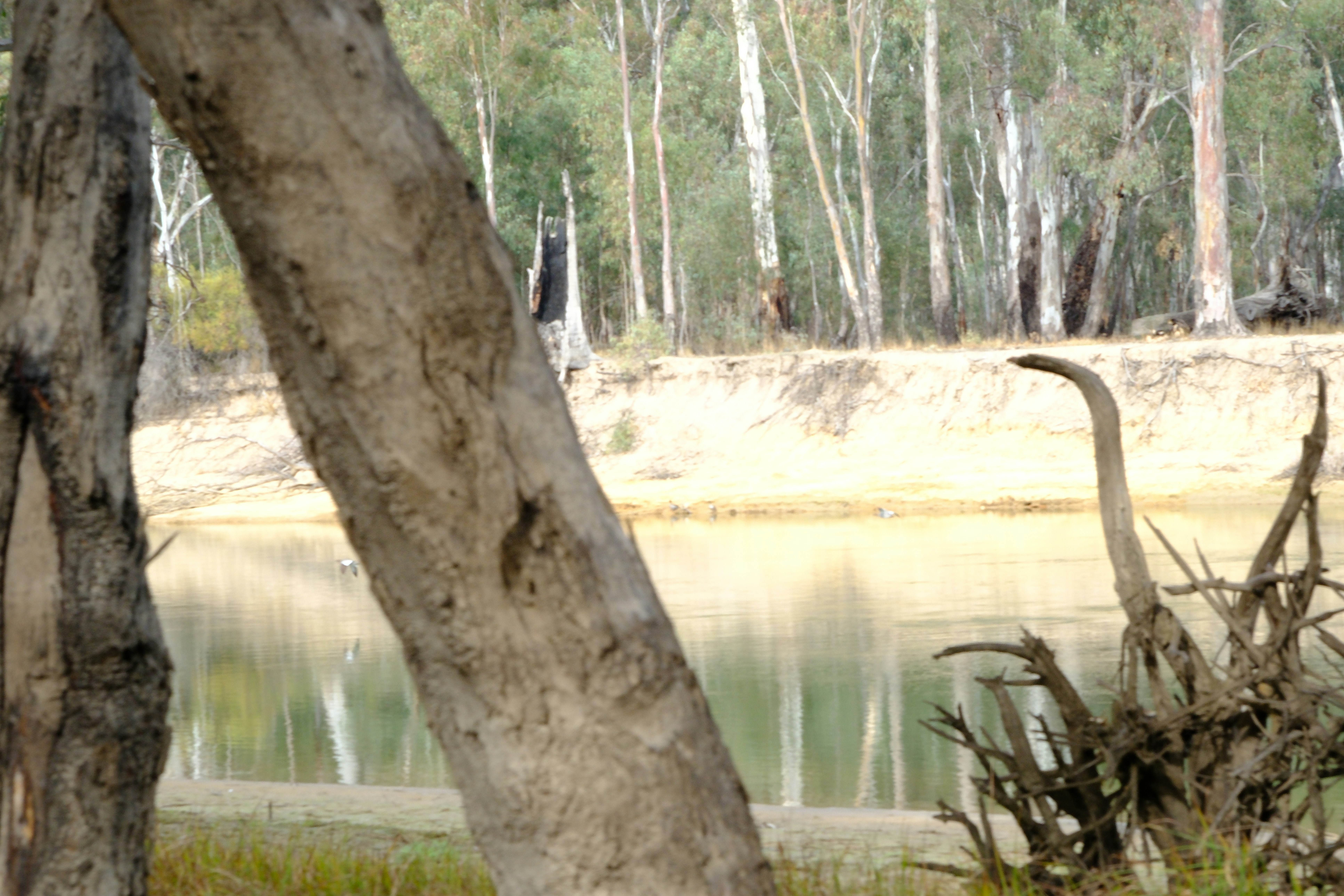 Photo by Walter Coppola with Fujifilm X-H2