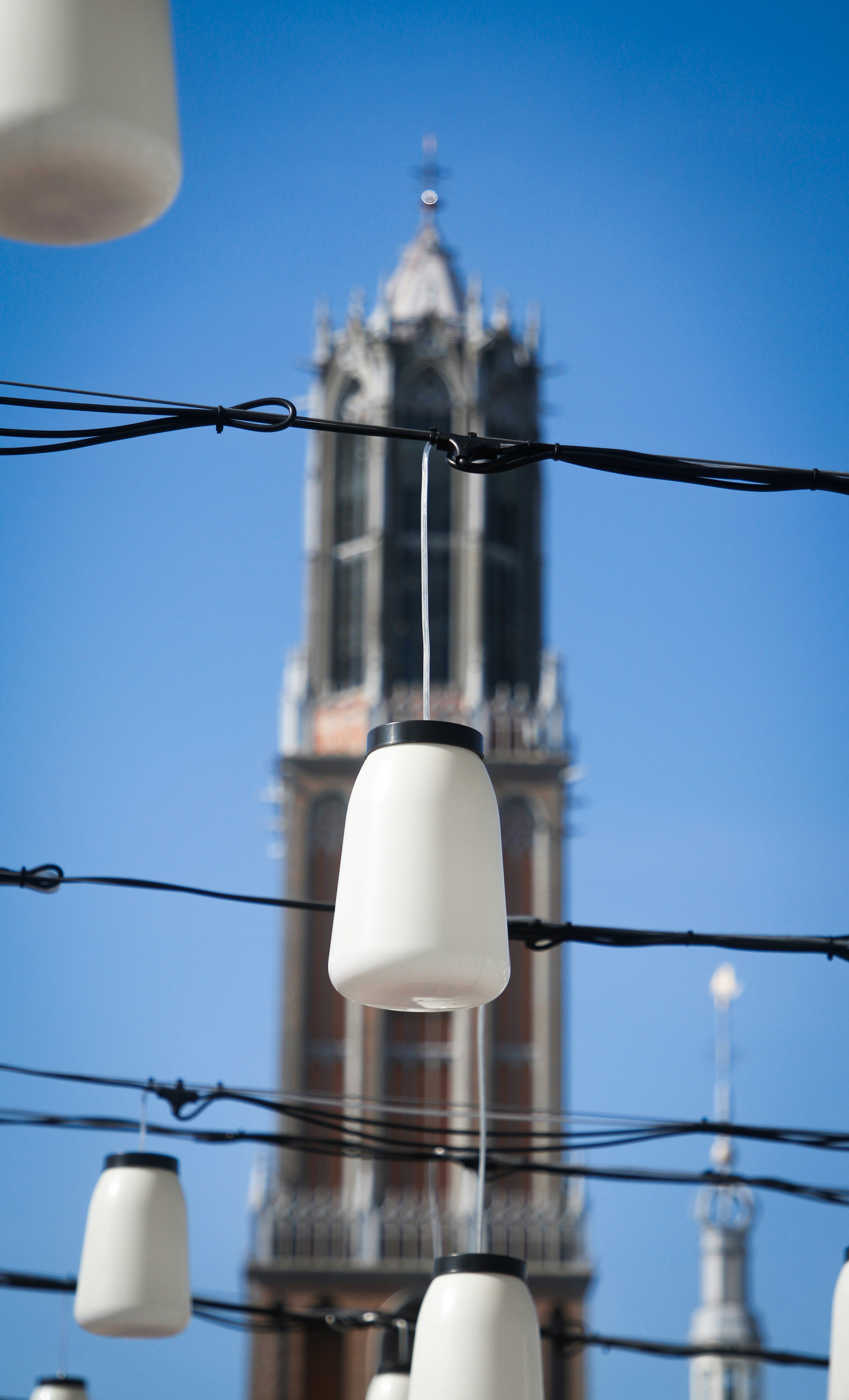 Photo by Gaku Suyama with Canon EOS 7D