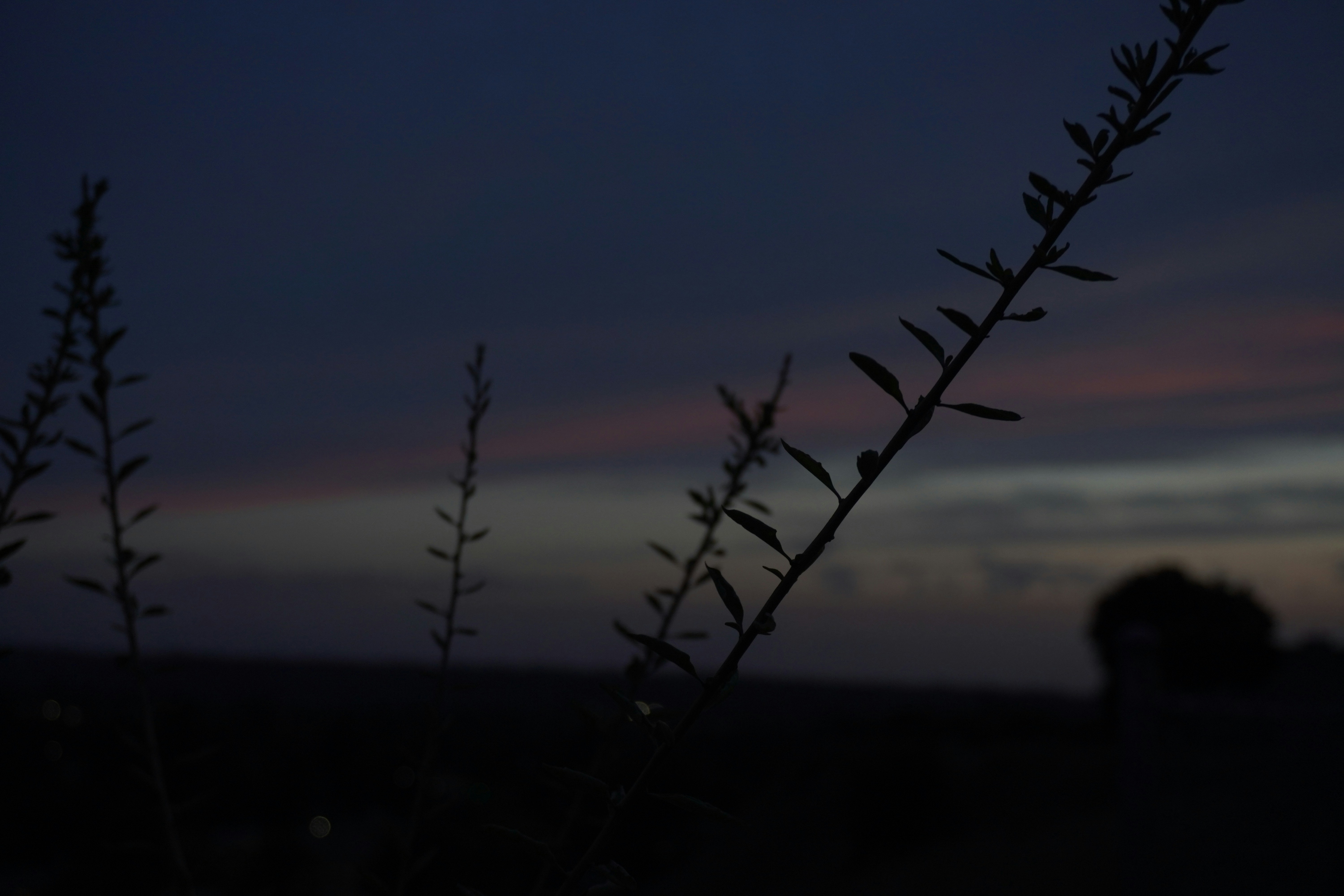 Dusk Diagonal: Silhouettes in a Quiet Horizon