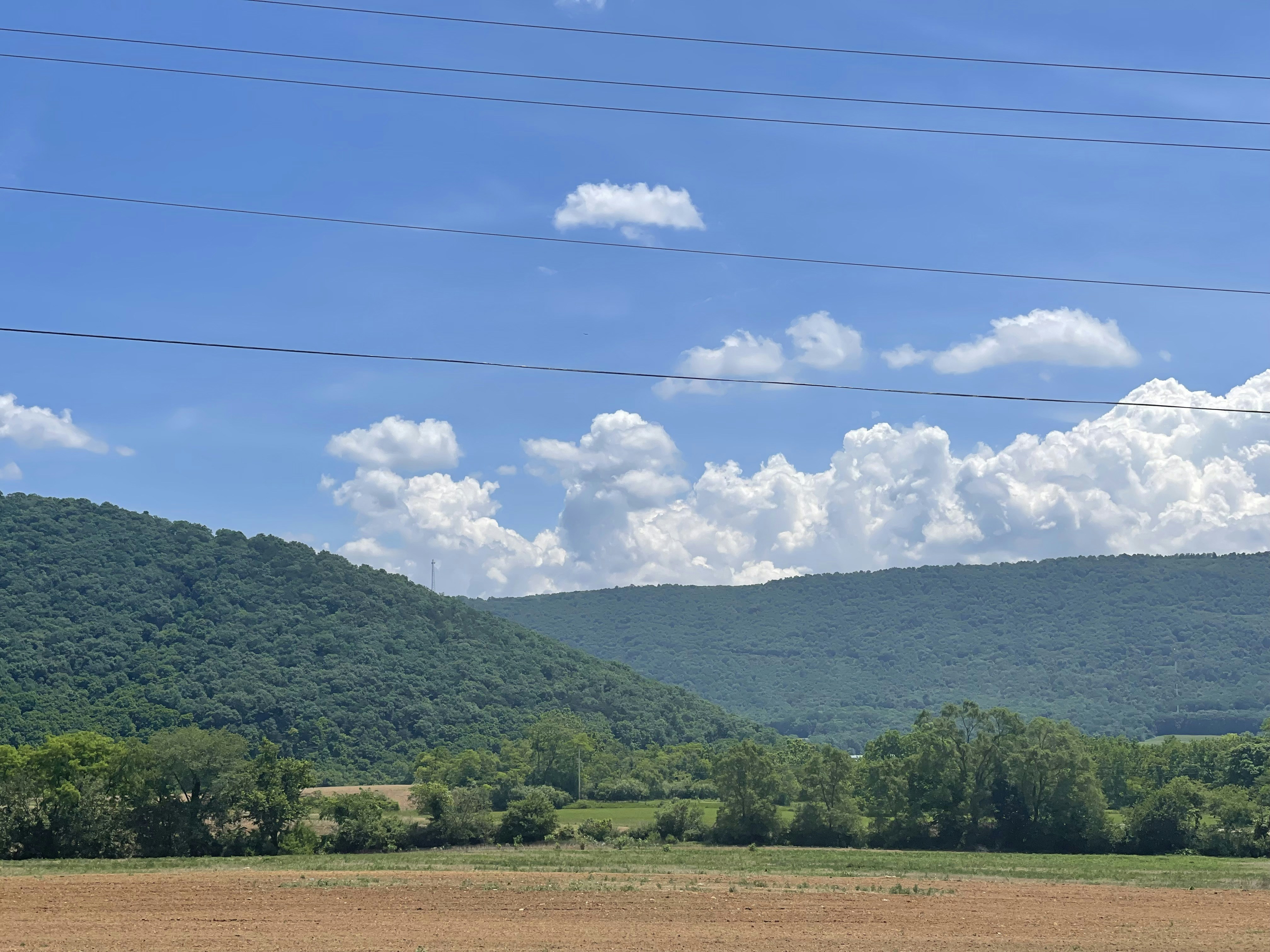 ALICIA LACY (@goddessmyriad) | Comunidade de fotos da Unsplash