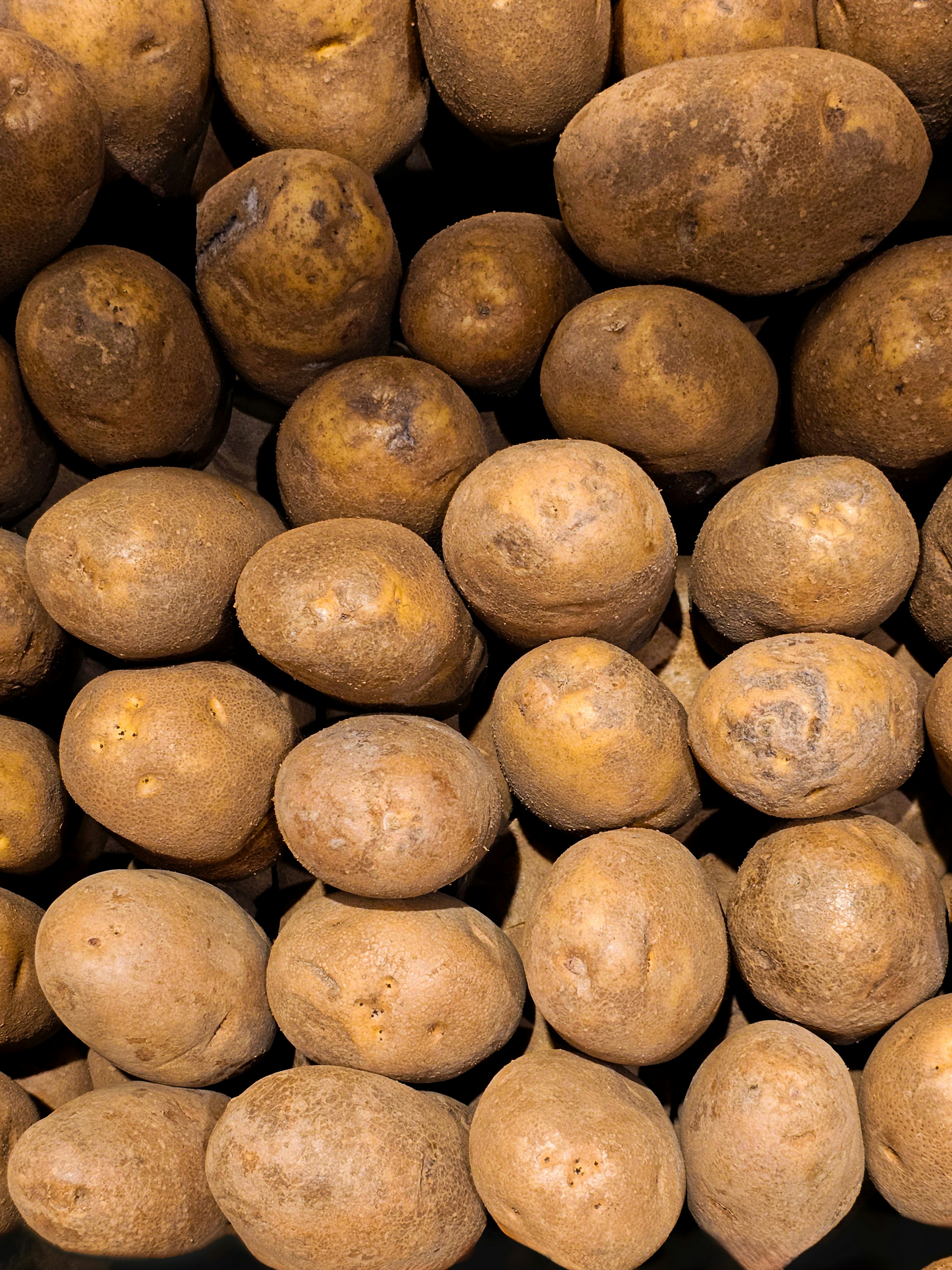 A pile of potatoes sitting next to each other photo – Free Food Image ...