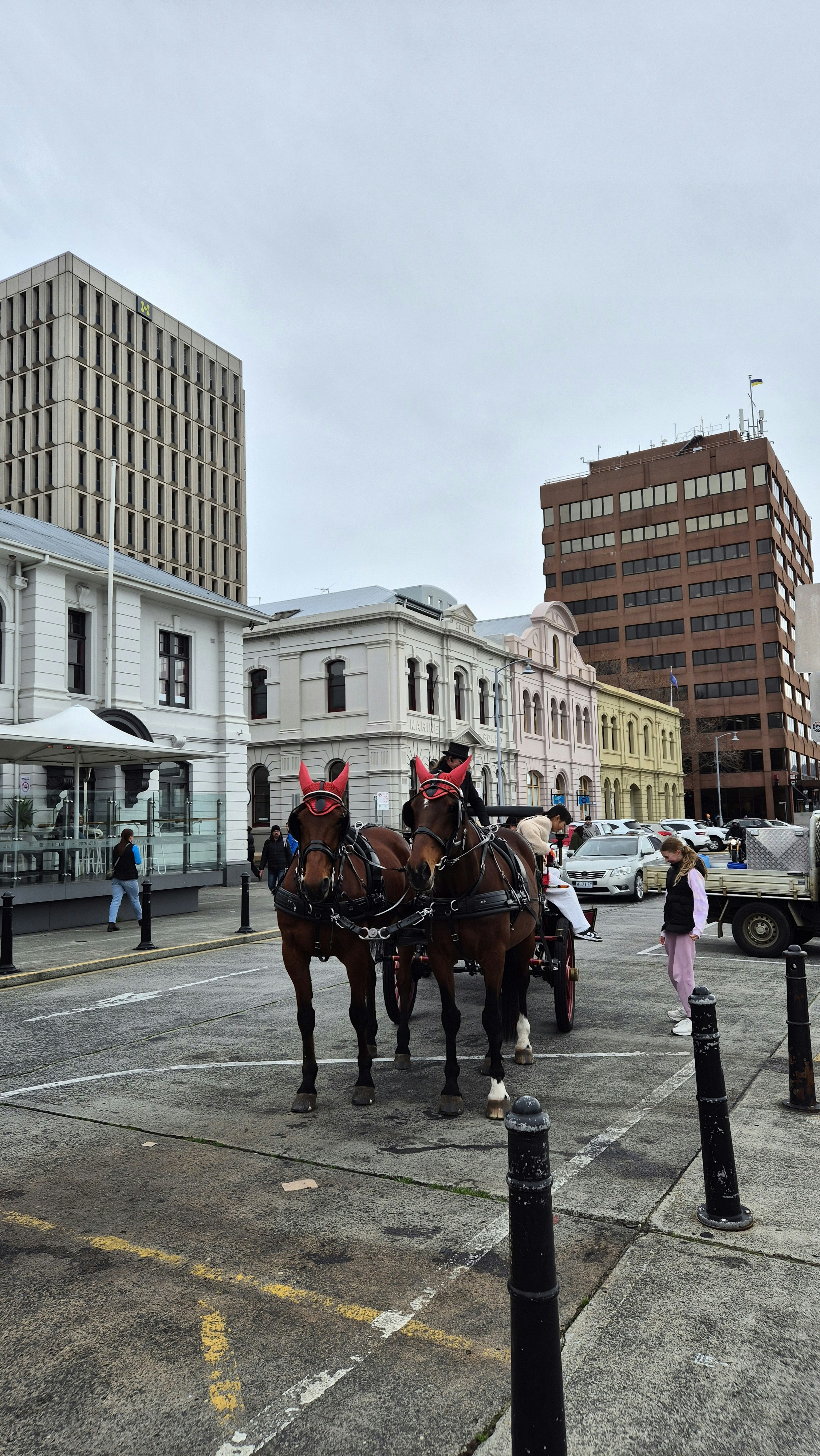 Horses at the Crossing: Tradition Tethered to a Modern Street