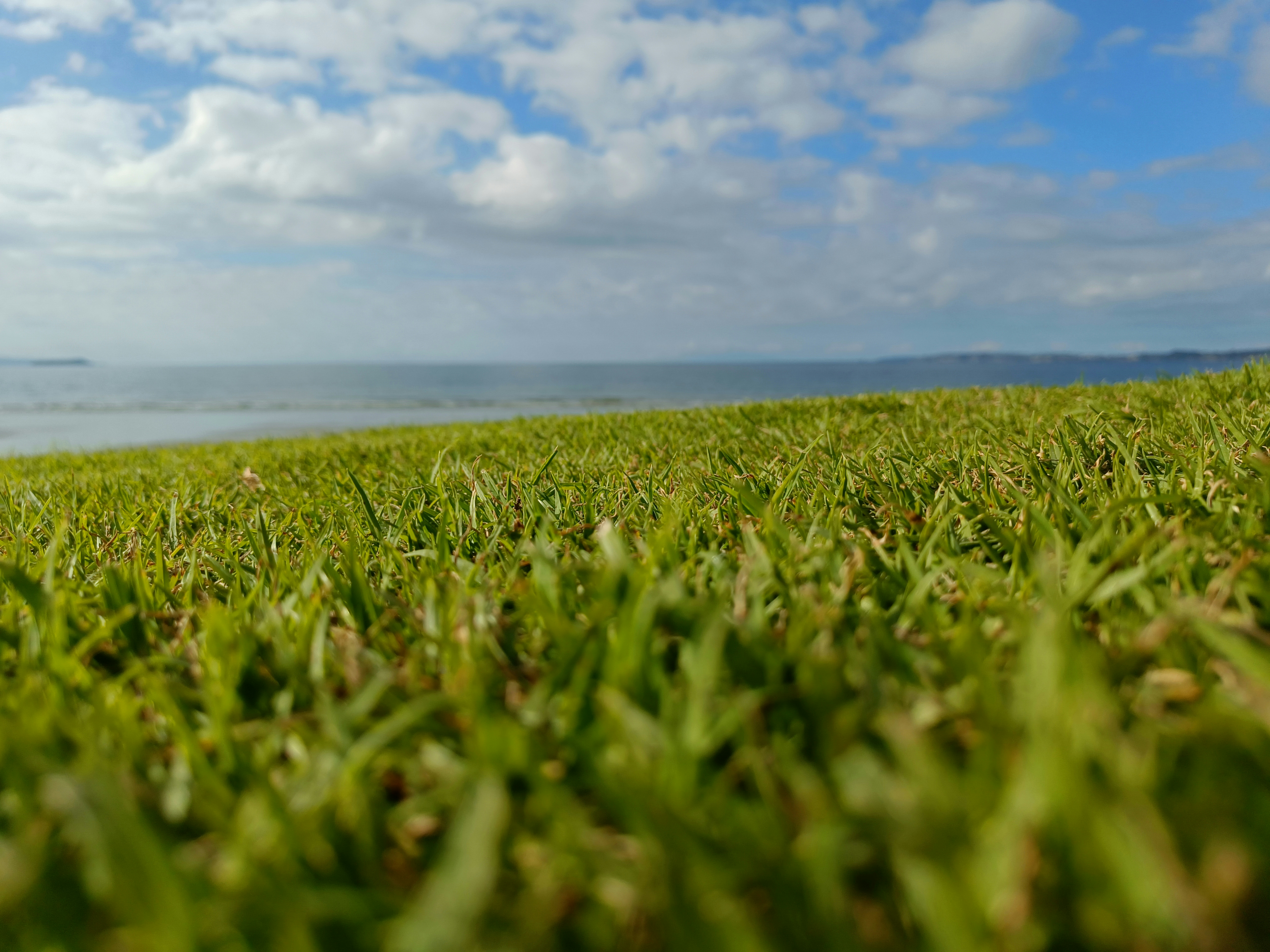 Photo by Jacob R Vamseedhar G with OnePlus Nord 2