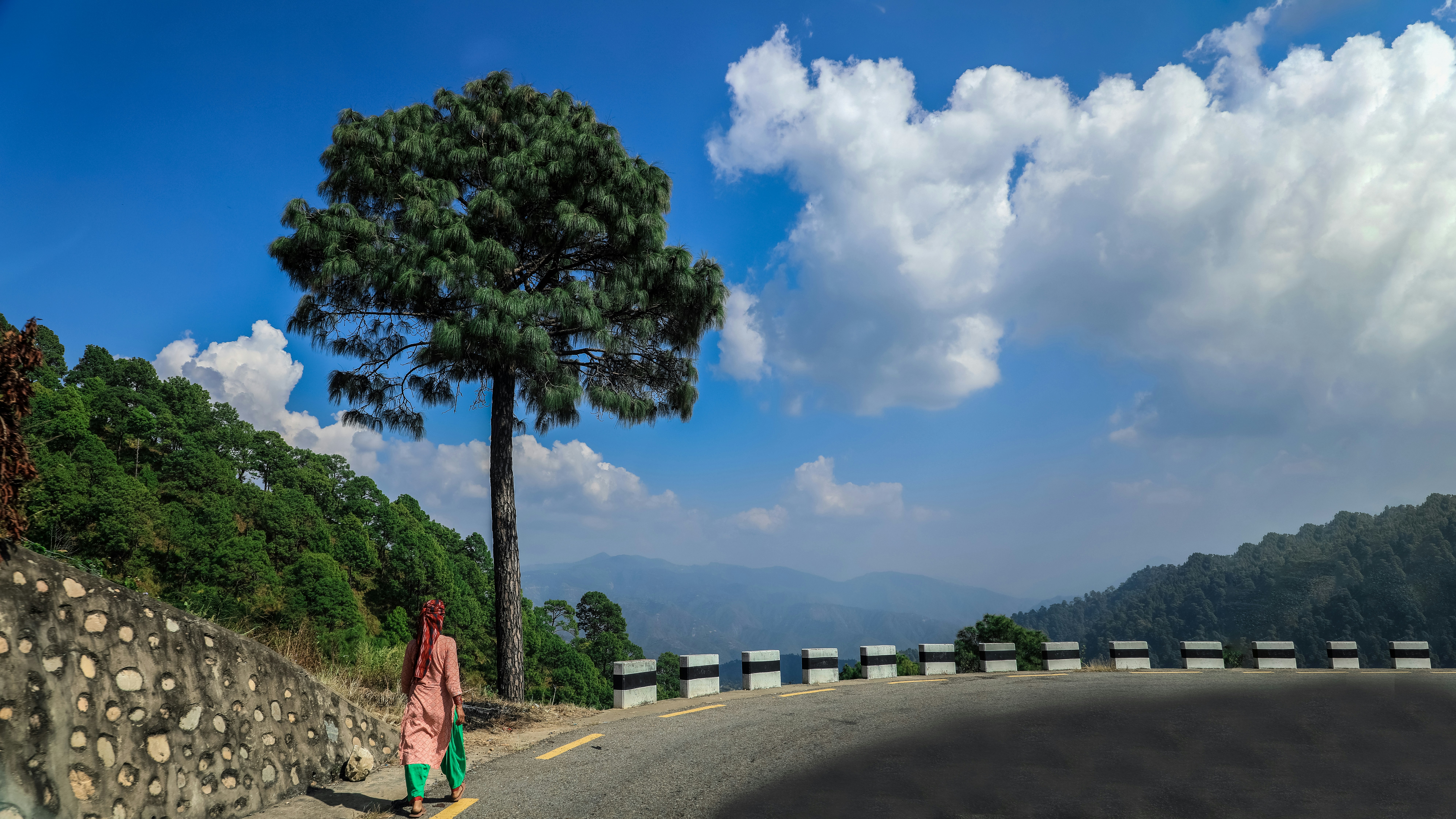 Roadside Solitude: A Solo Walker Beneath a Lone Tree on a Mountain Bend