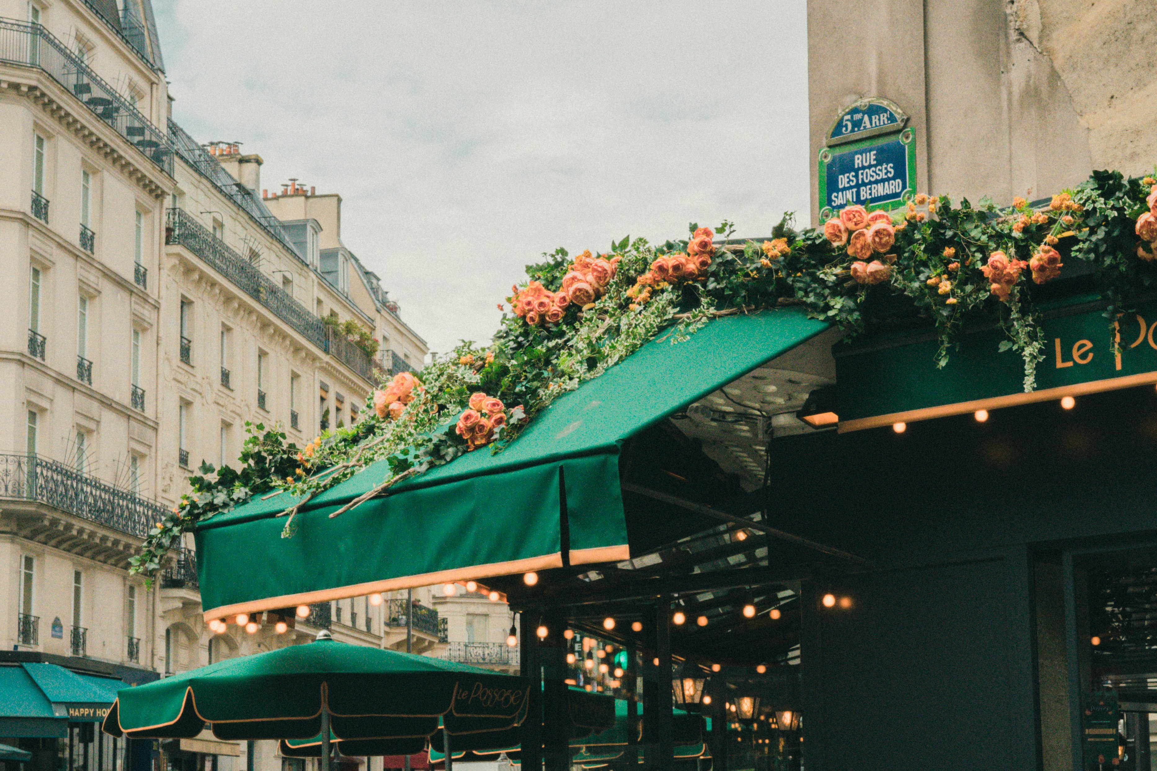 Photo by Gavin Li with Nikon Zf