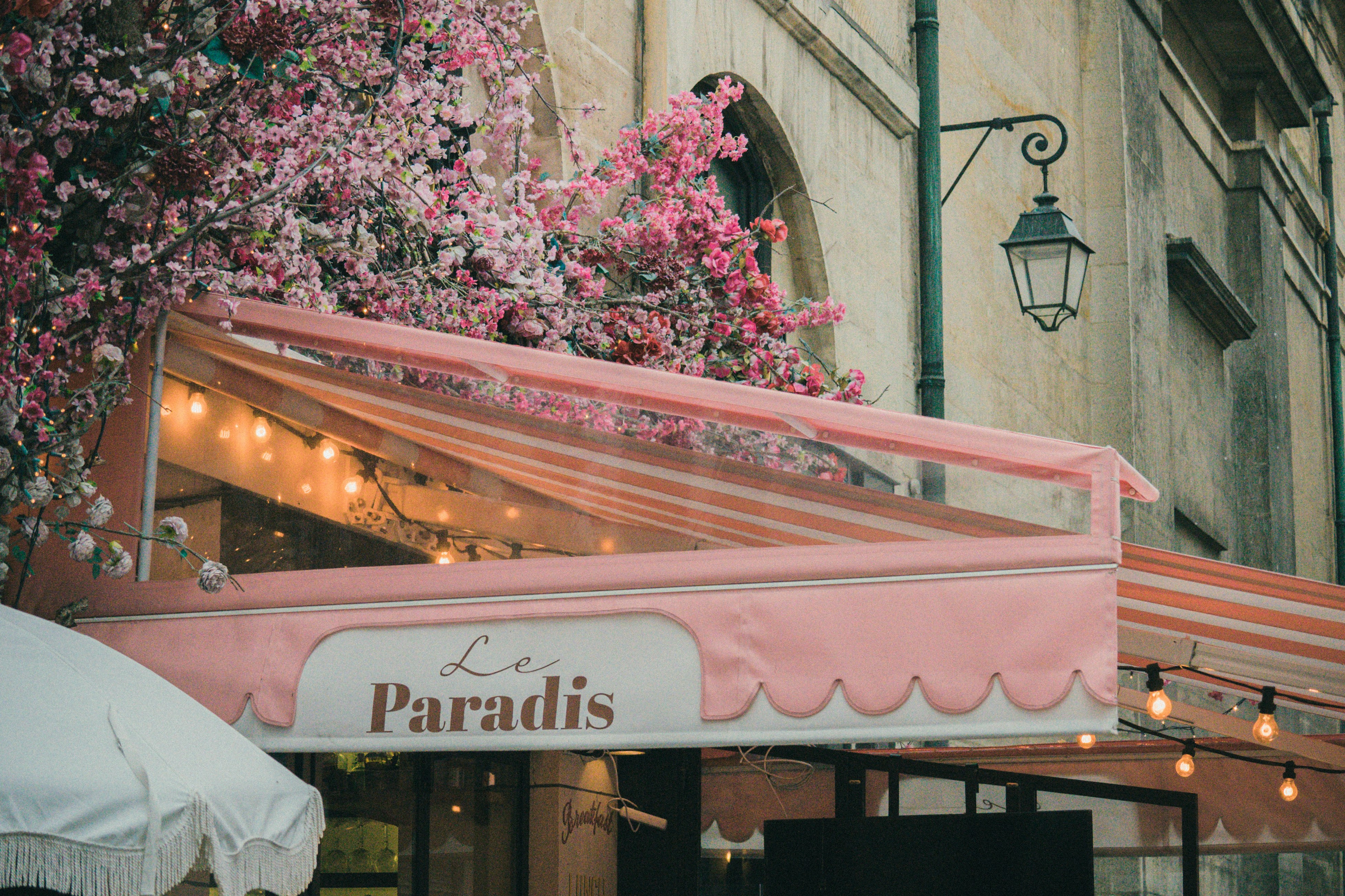 Pastel pink cafe awning with blooming pink flowers and the 'Le Paradis' sign frame a Parisian storefront.
