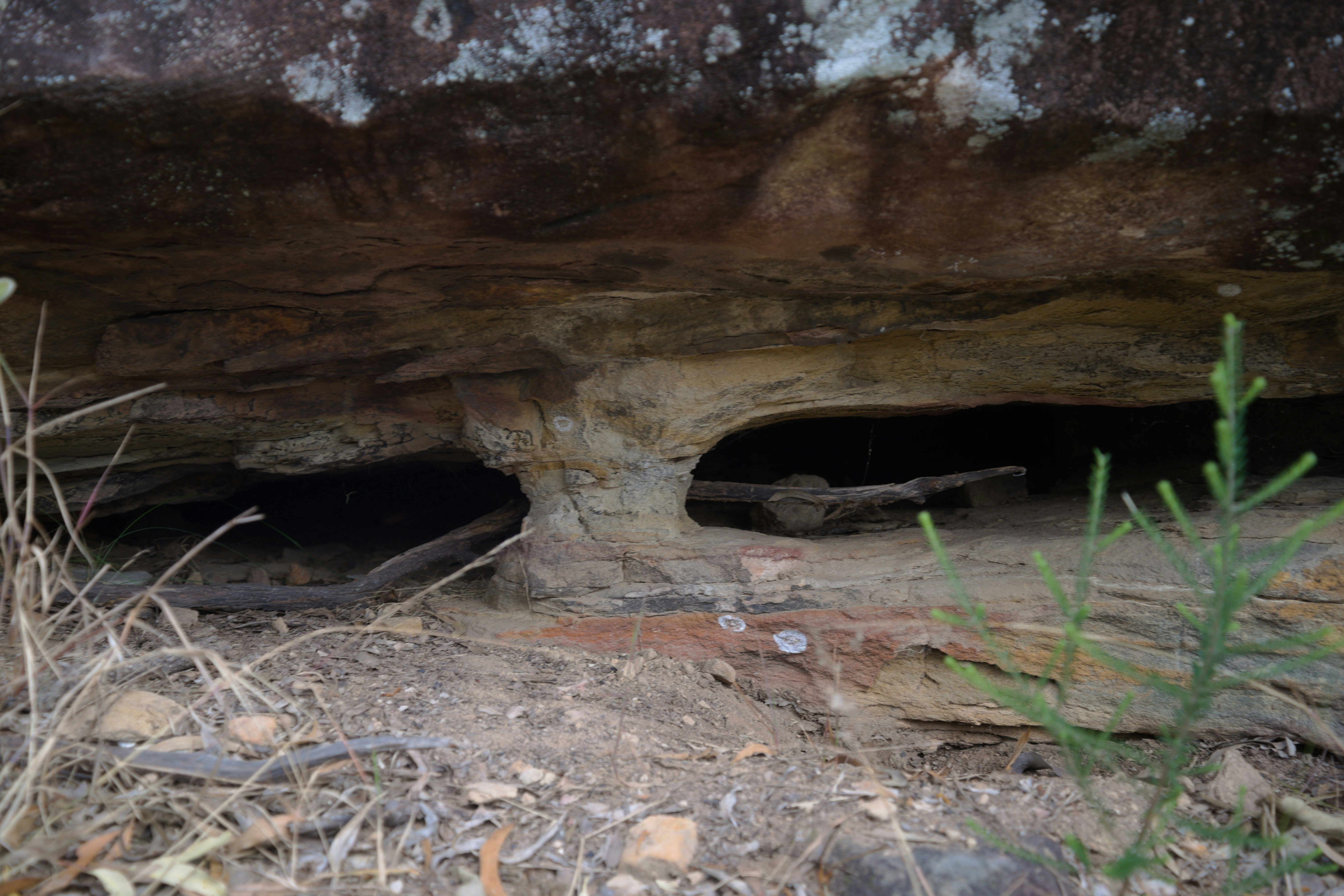 Old Chive Underground Pictures | Download Free Images on Unsplash