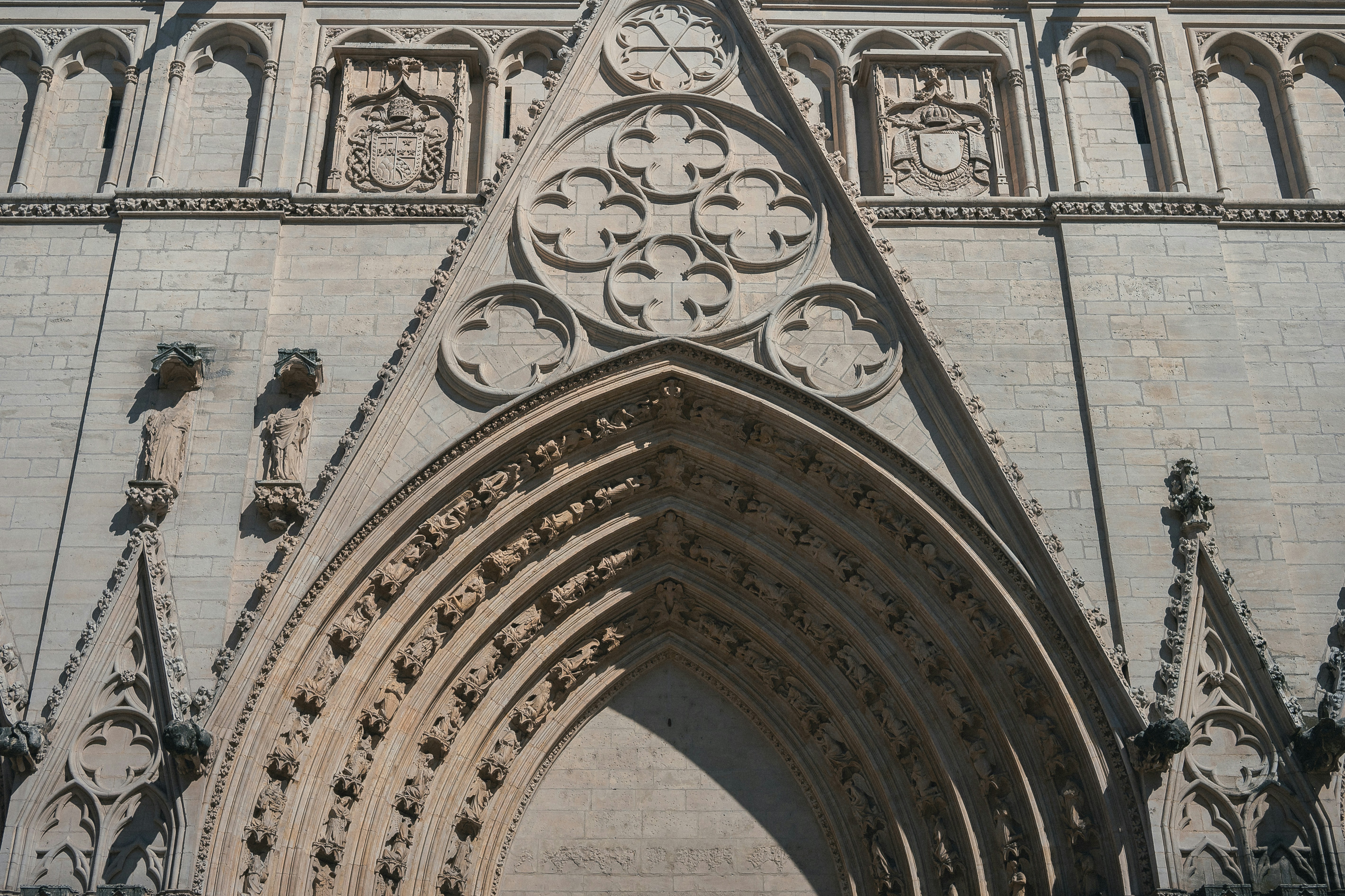 Photo by Gavin Li with Nikon Zf