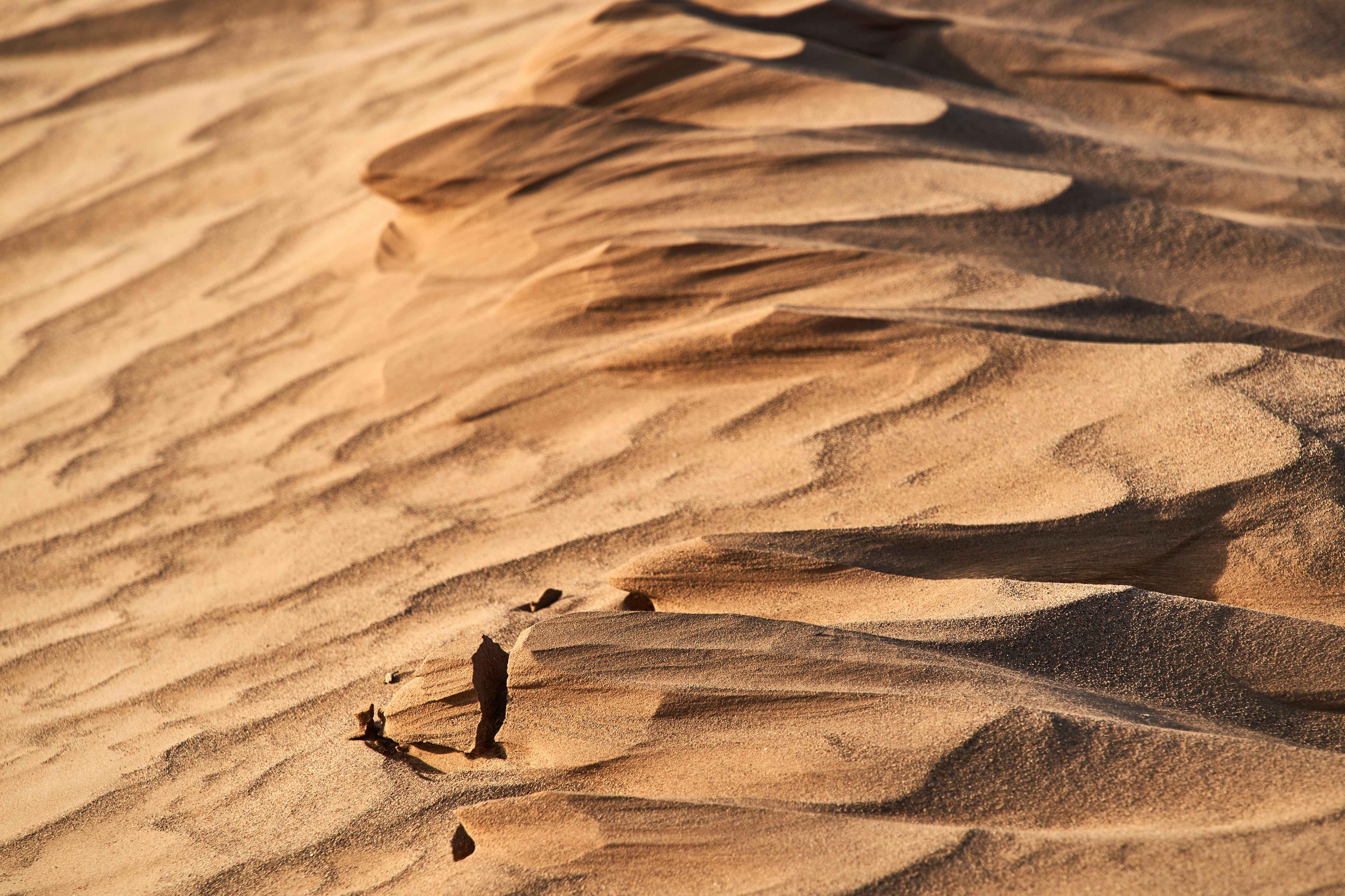 A group of people walking across a sandy field photo – Free Nature ...