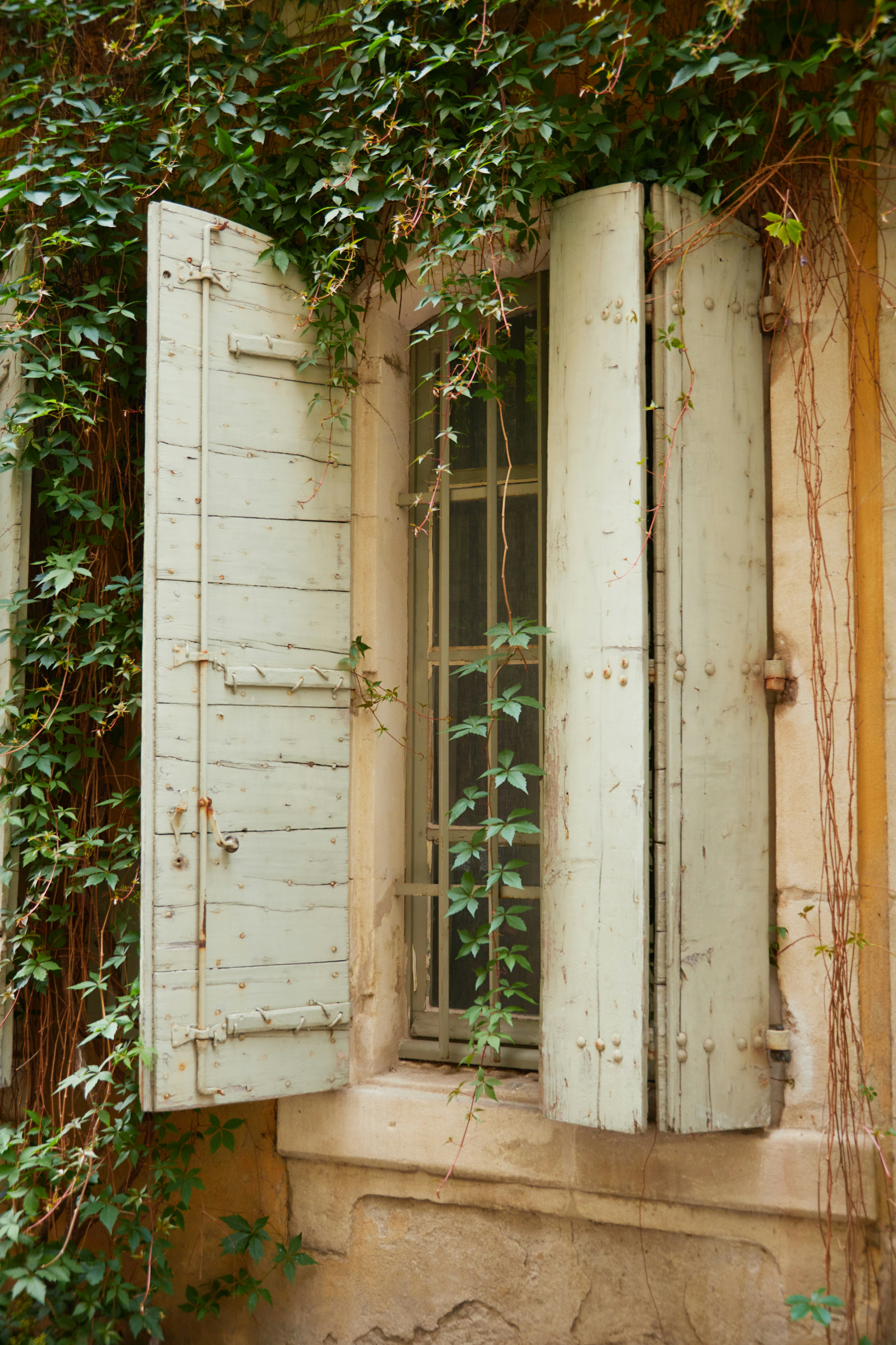 Weathered shutters adorned with creeping ivy frame a serene window, inviting a glimpse into a world of tranquility.