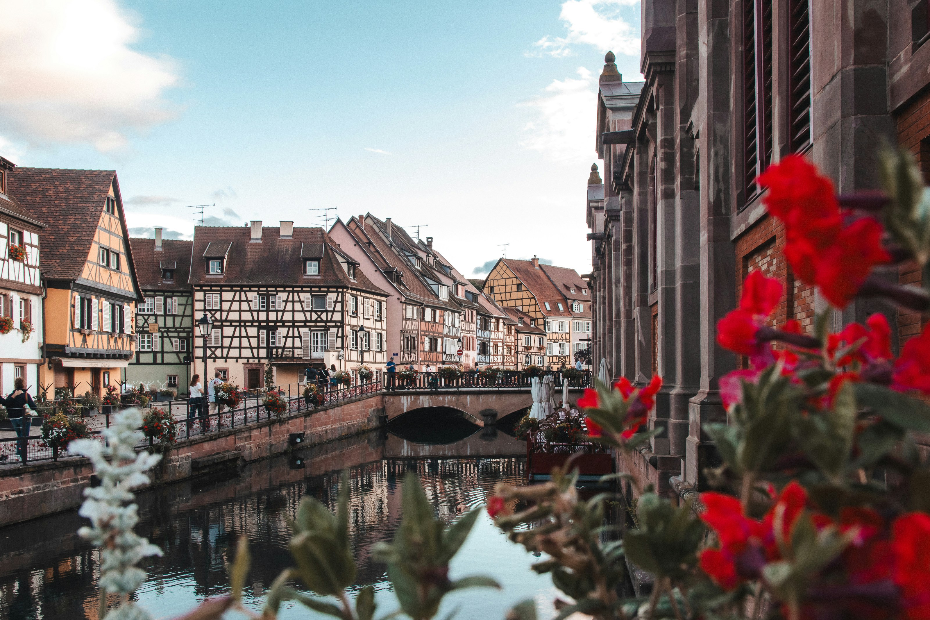 Colorful canal-side buildings in Colmar framed by vibrant red flowers on a sunny day.