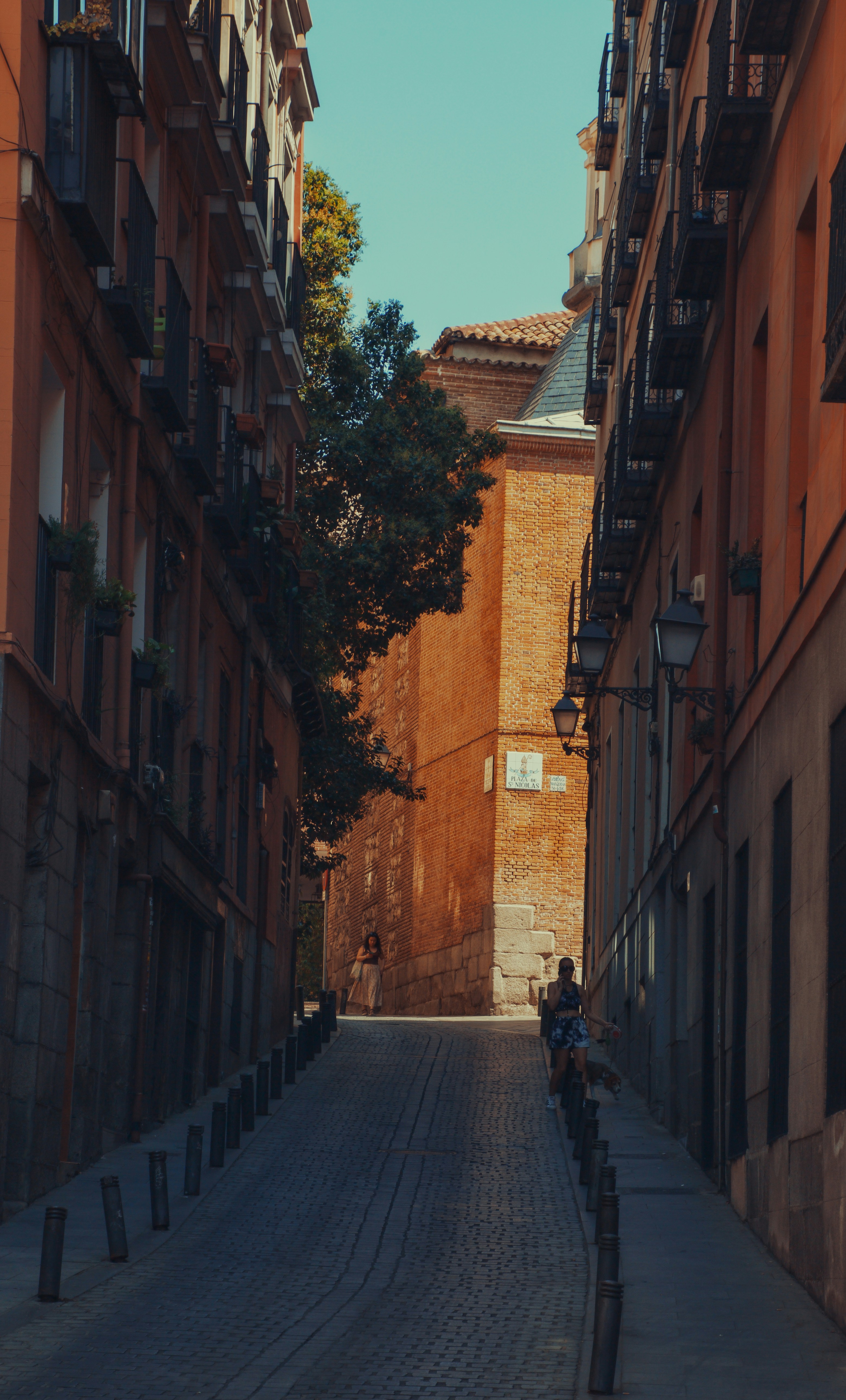 Photo by Bo Zhang with Canon EOS 5D Mark III