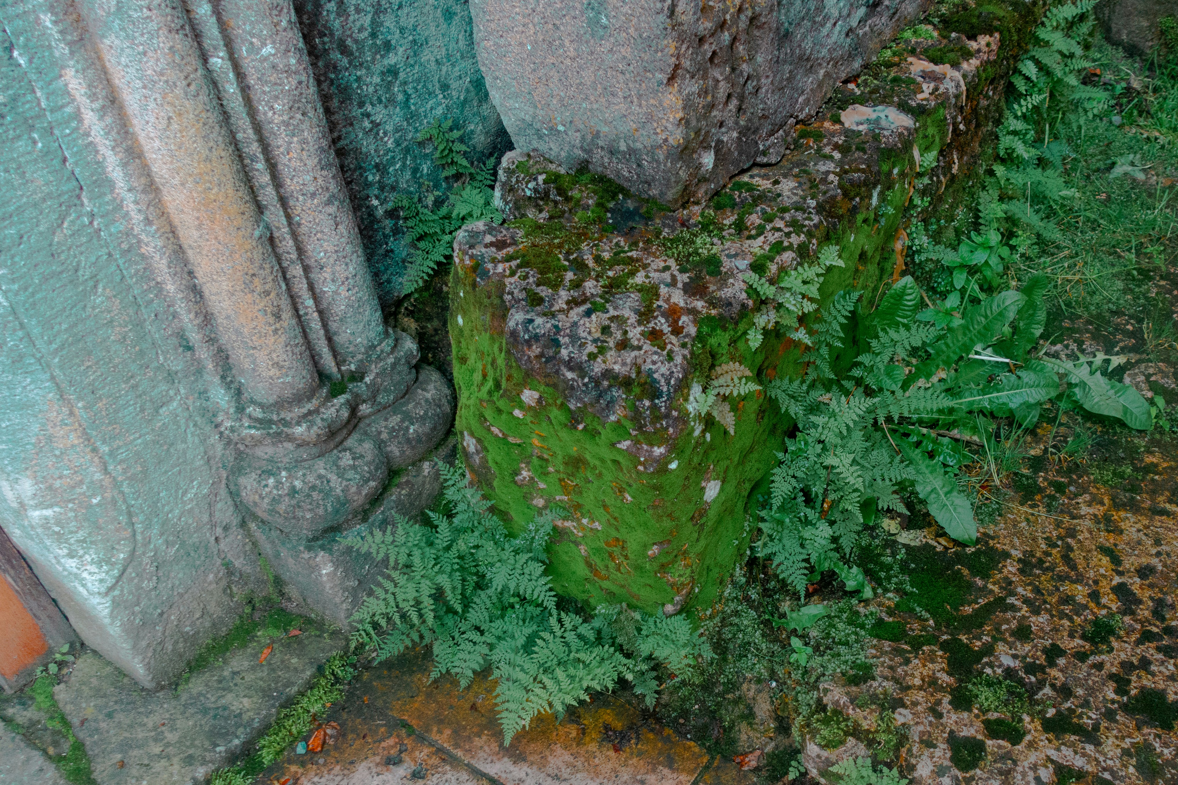 A close up of a stone pillar with moss growing on it photo – Free ...