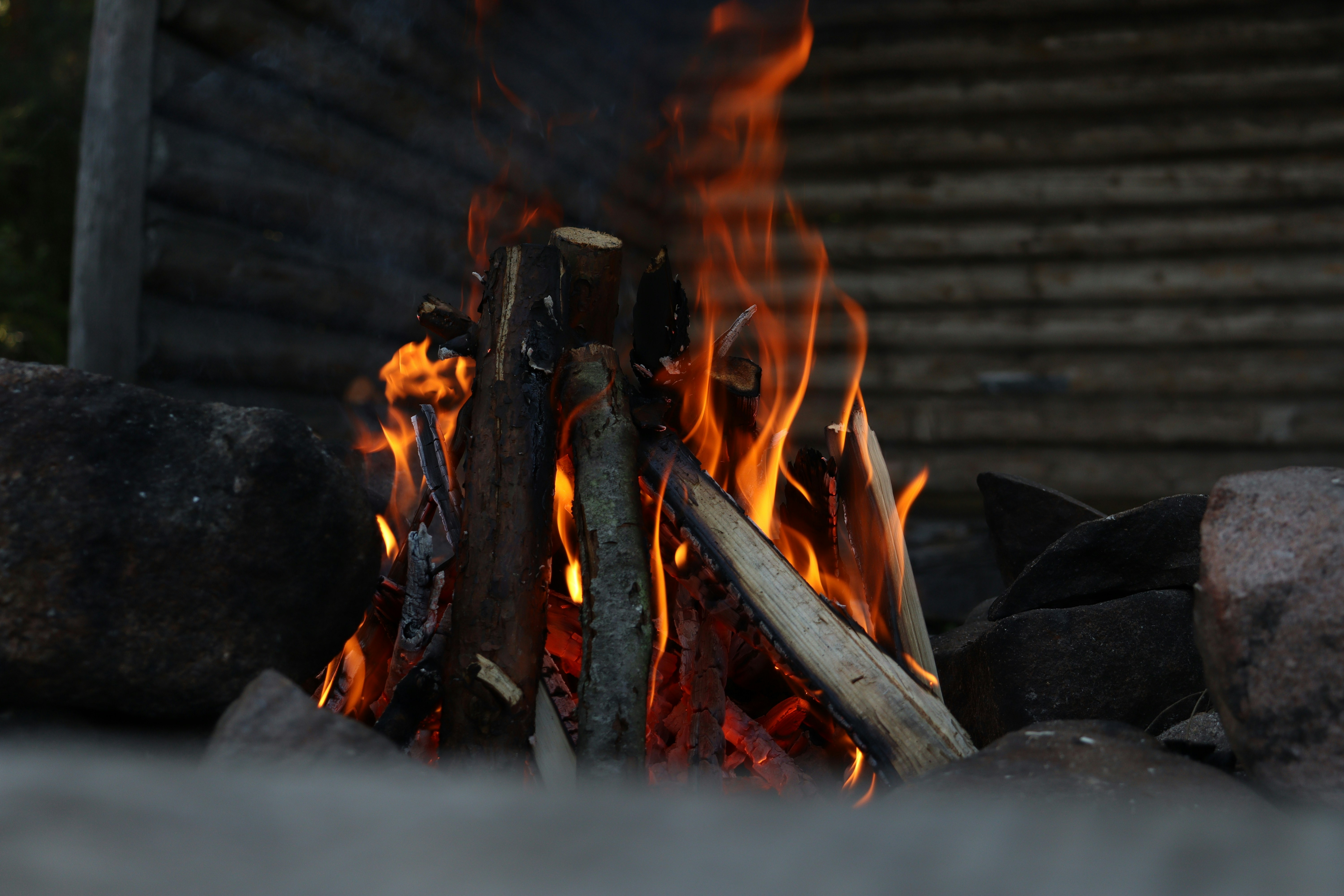 A close up of a fire in a fire pit photo – Free Fire Image on Unsplash
